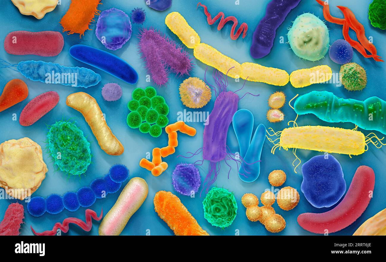 Various bacteria, illustration Stock Photo - Alamy
