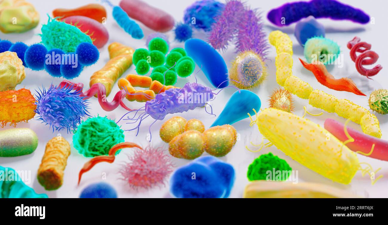 Various bacteria, illustration Stock Photo - Alamy