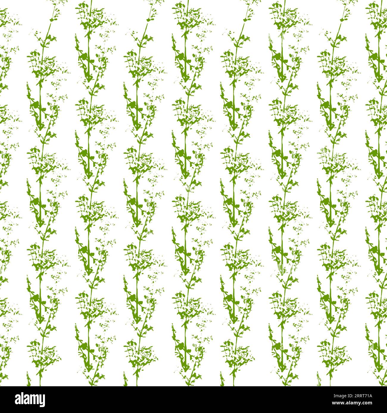 Seamless pattern with herbal elements. Decorative background in ...