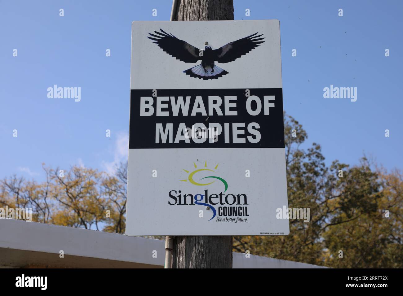 Singleton Council ‘Beware of Magpies’ sign, High Street, Singleton, New ...