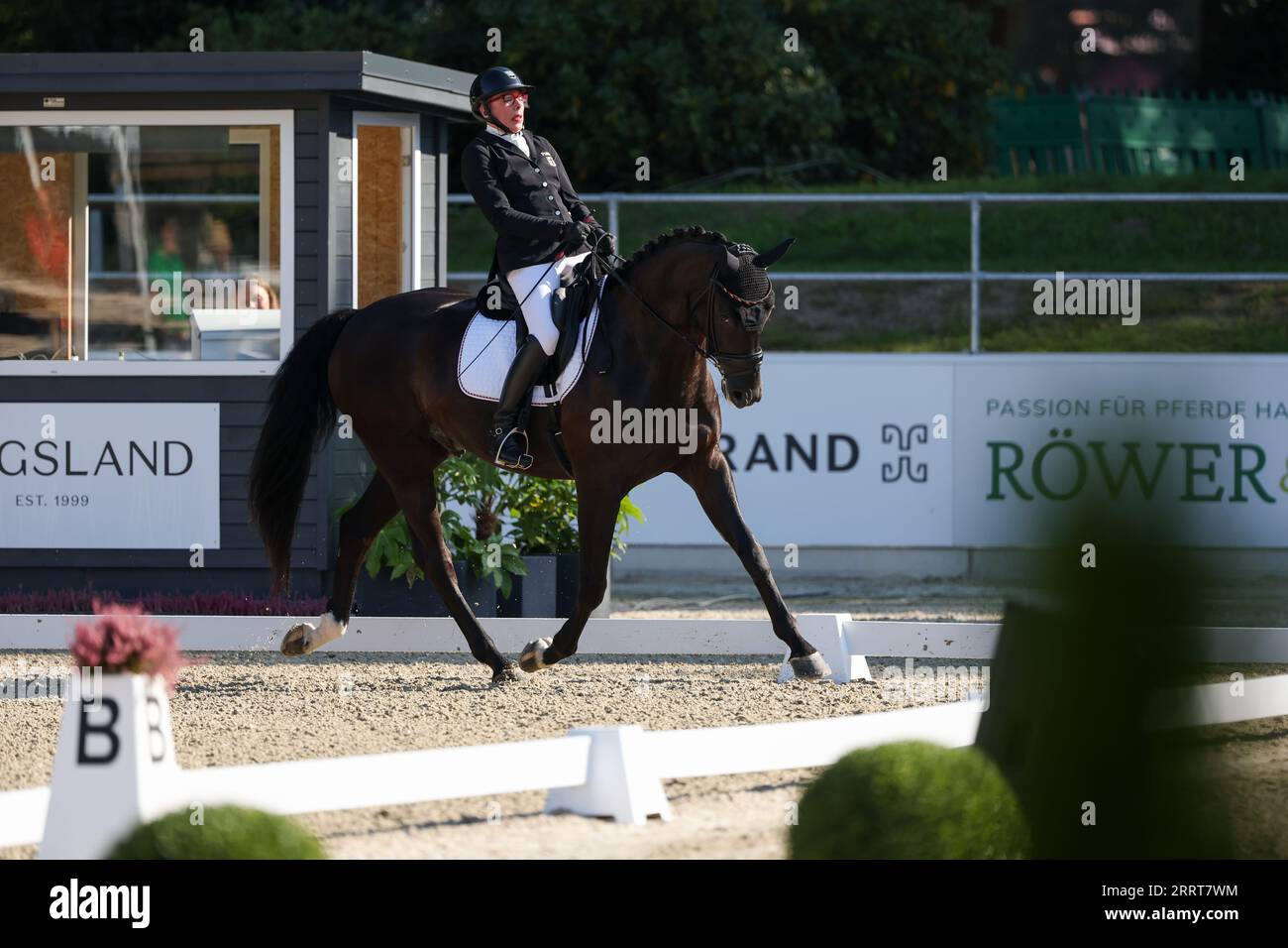Riesenbeck, Germany. 09th Sep, 2023. Equestrian sport: European ...