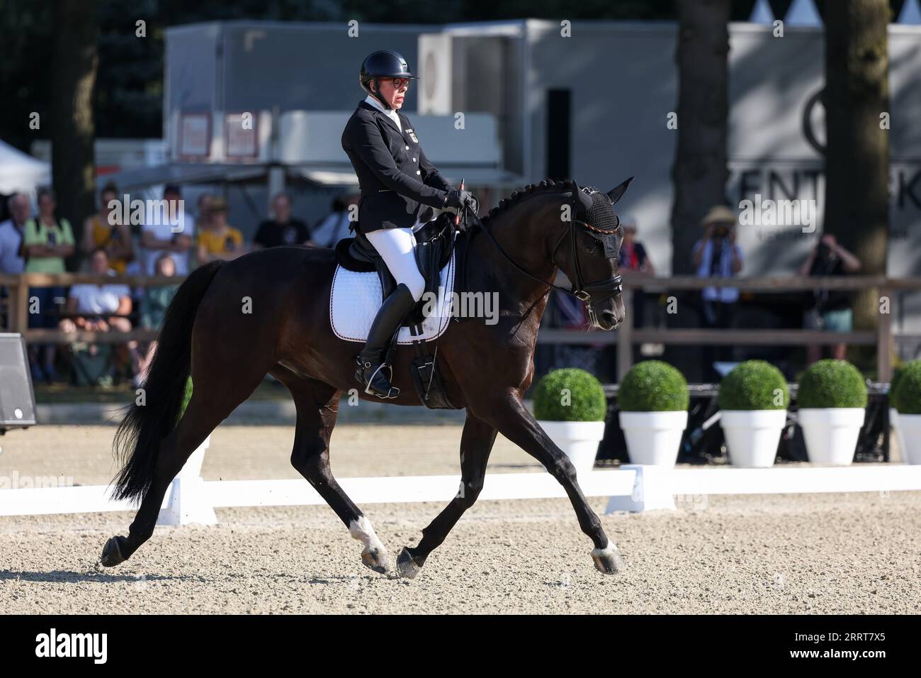 Riesenbeck, Germany. 09th Sep, 2023. Equestrian sport: European ...