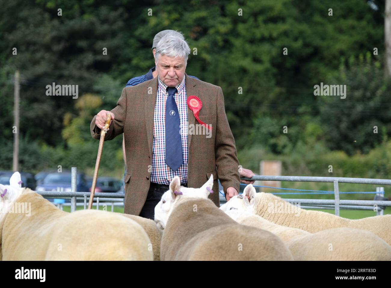 Selkirk, UK. 09th Sep, 2023. SELKIRK, UK. Saturday 09 September 2023 ...