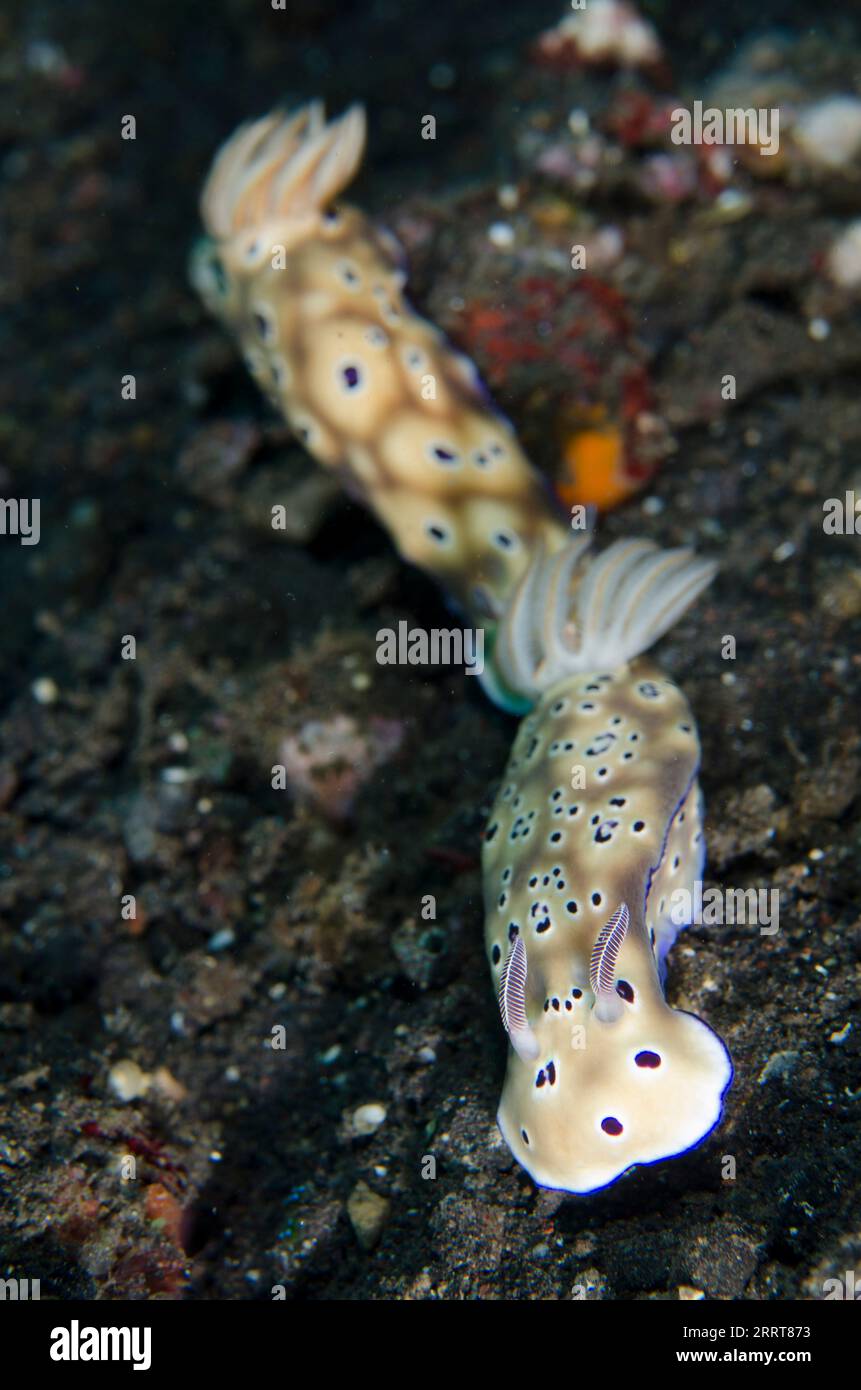 Trailing slope hi-res stock photography and images - Alamy