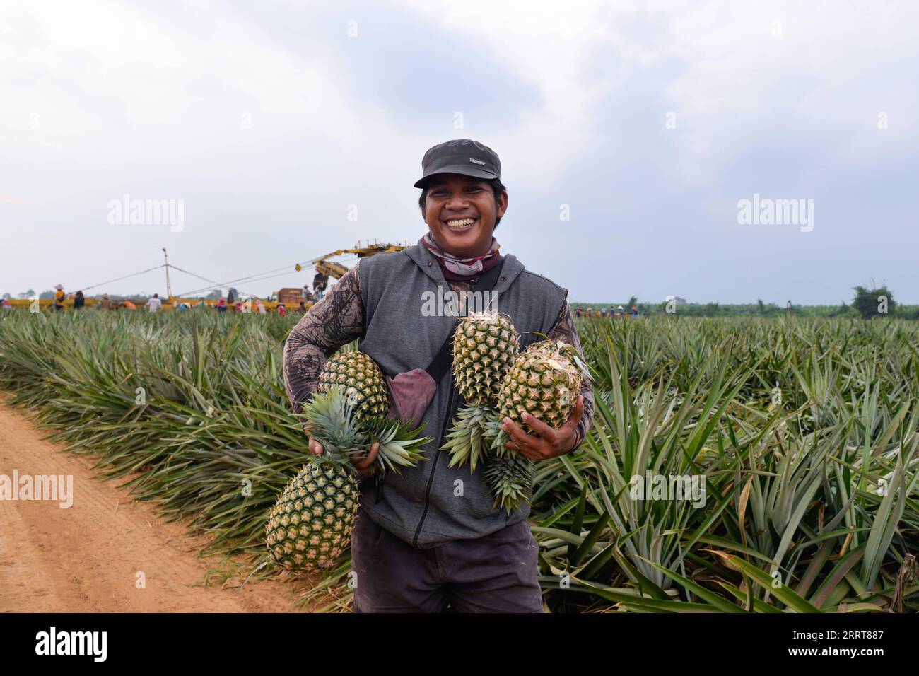 Terbanggi besar hi-res stock photography and images - Alamy