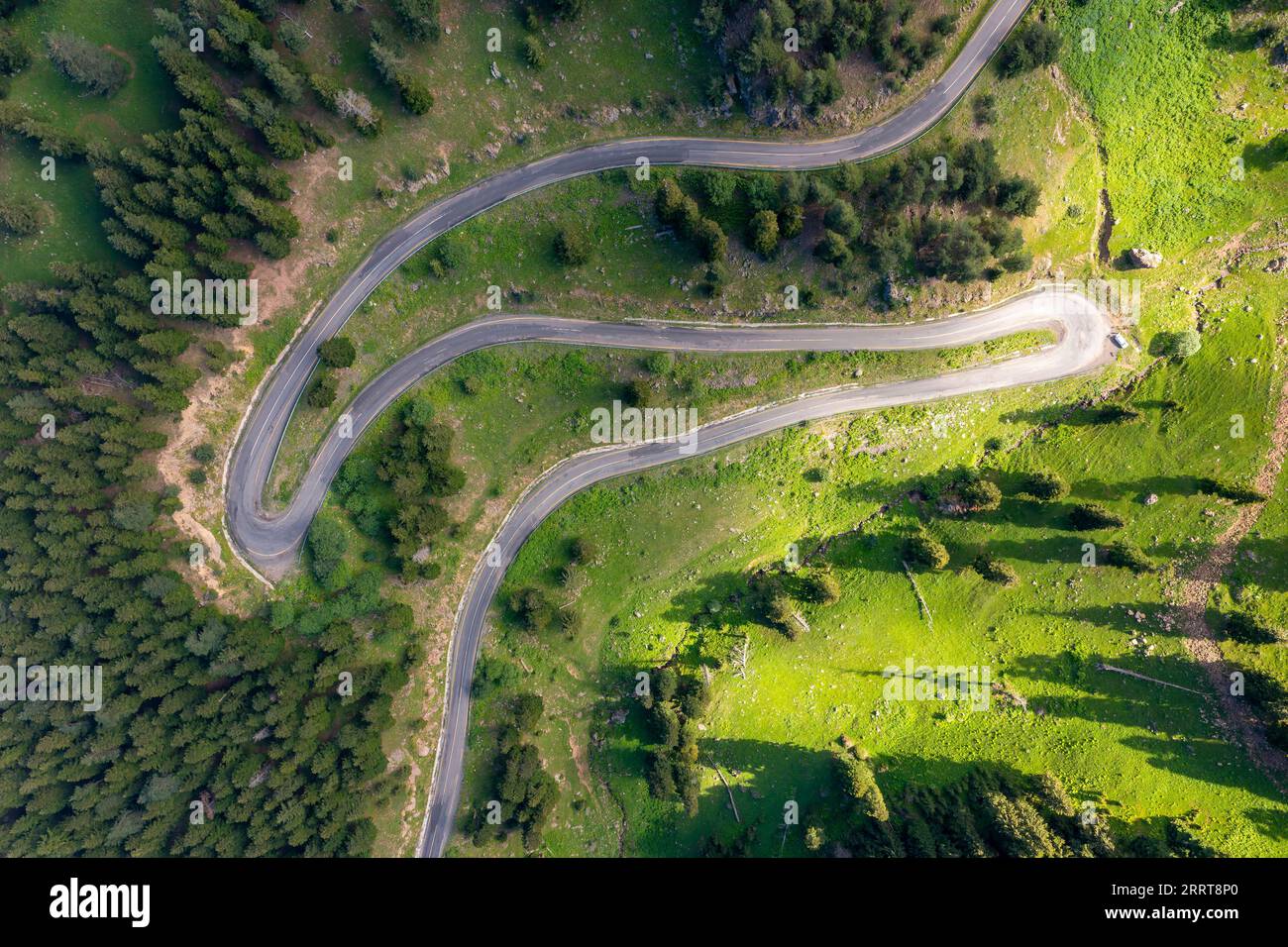 curvy roads and unique forest scenery, Artvin, Turkey Stock Photo - Alamy