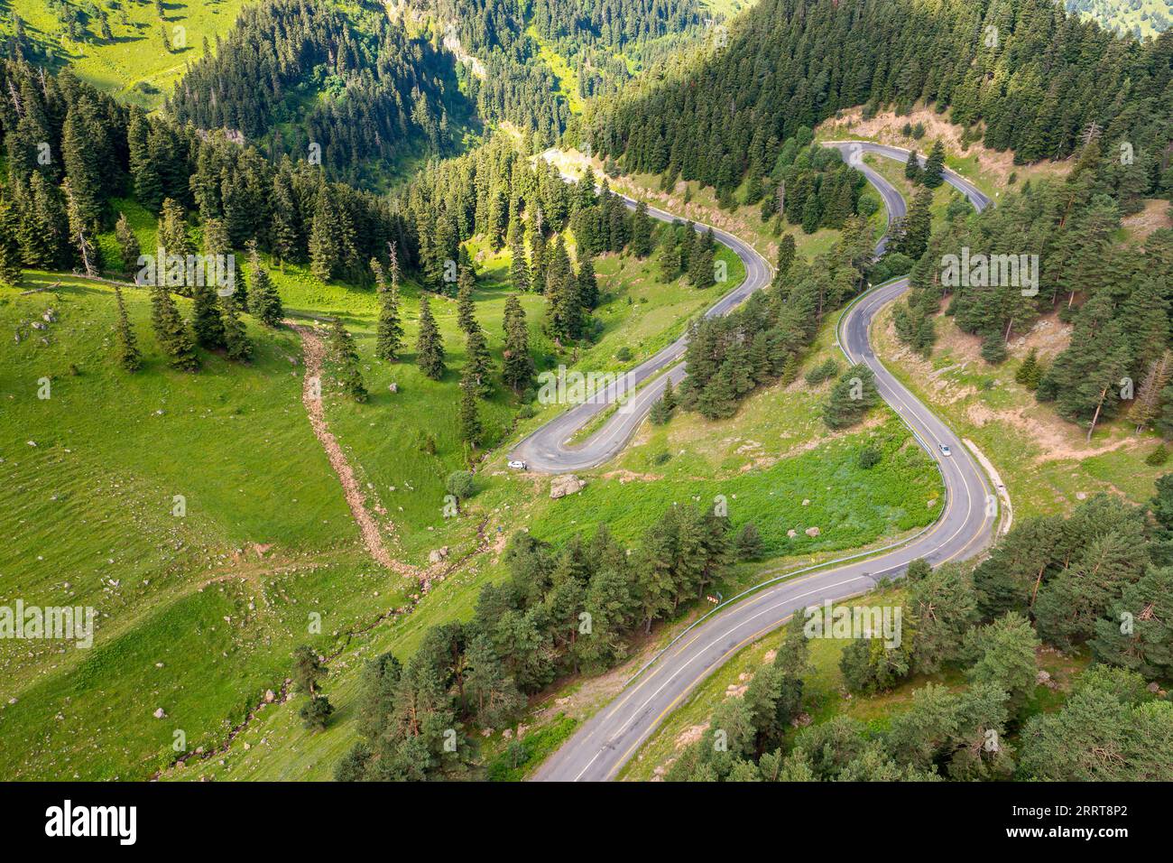 curvy roads and unique forest scenery, Artvin, Turkey Stock Photo - Alamy