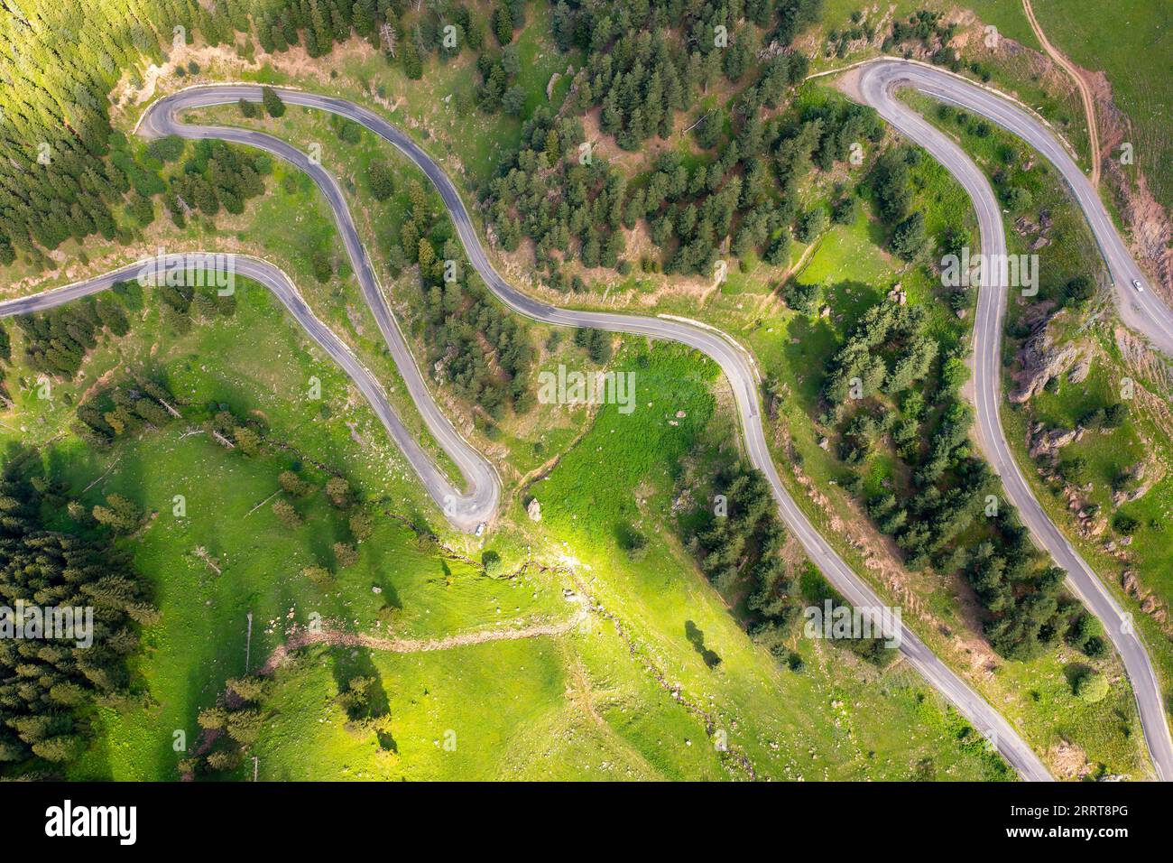 curvy roads and unique forest scenery, Artvin, Turkey Stock Photo - Alamy