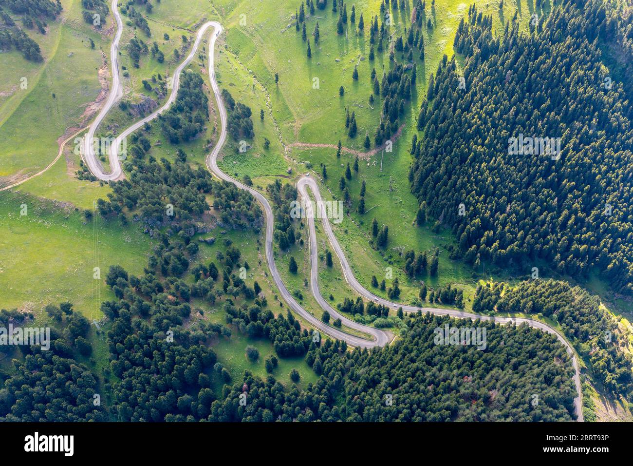 curvy roads and unique forest scenery, Artvin, Turkey Stock Photo - Alamy