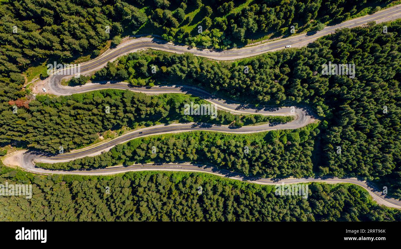 curvy roads and unique forest scenery, Artvin, Turkey Stock Photo - Alamy