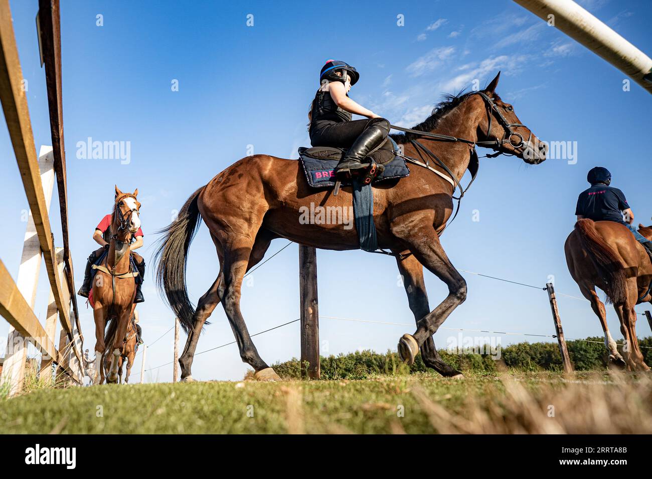 Fergal obrien racing hi-res stock photography and images - Alamy