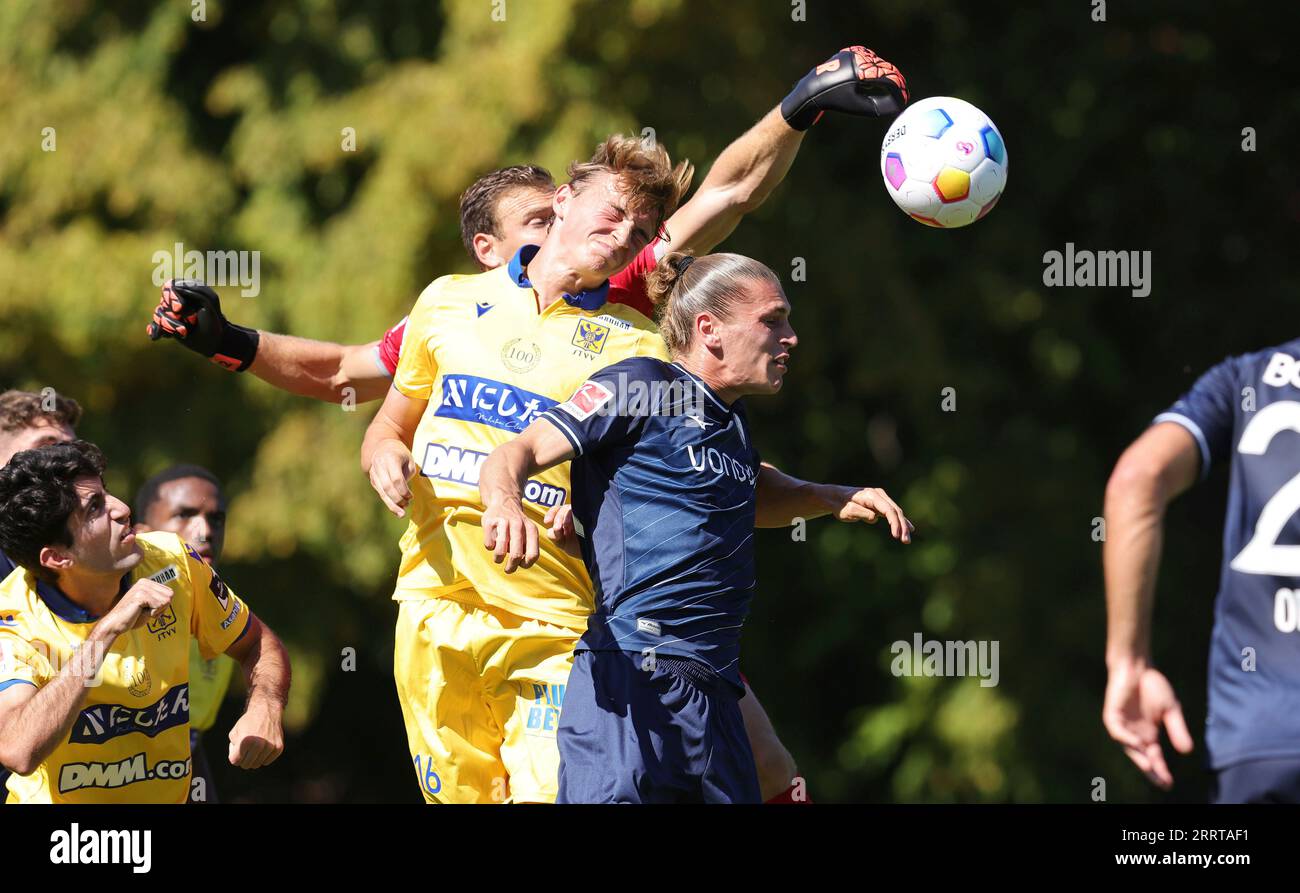 Matte smets hi-res stock photography and images - Alamy