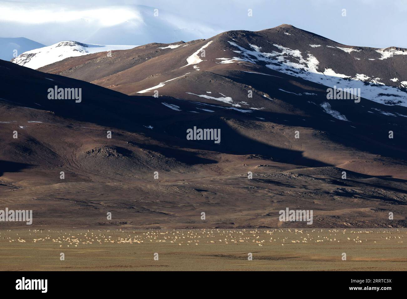 230715 -- ALTUN MOUNTAINS, July 15, 2023 -- This photo taken on July 9 ...