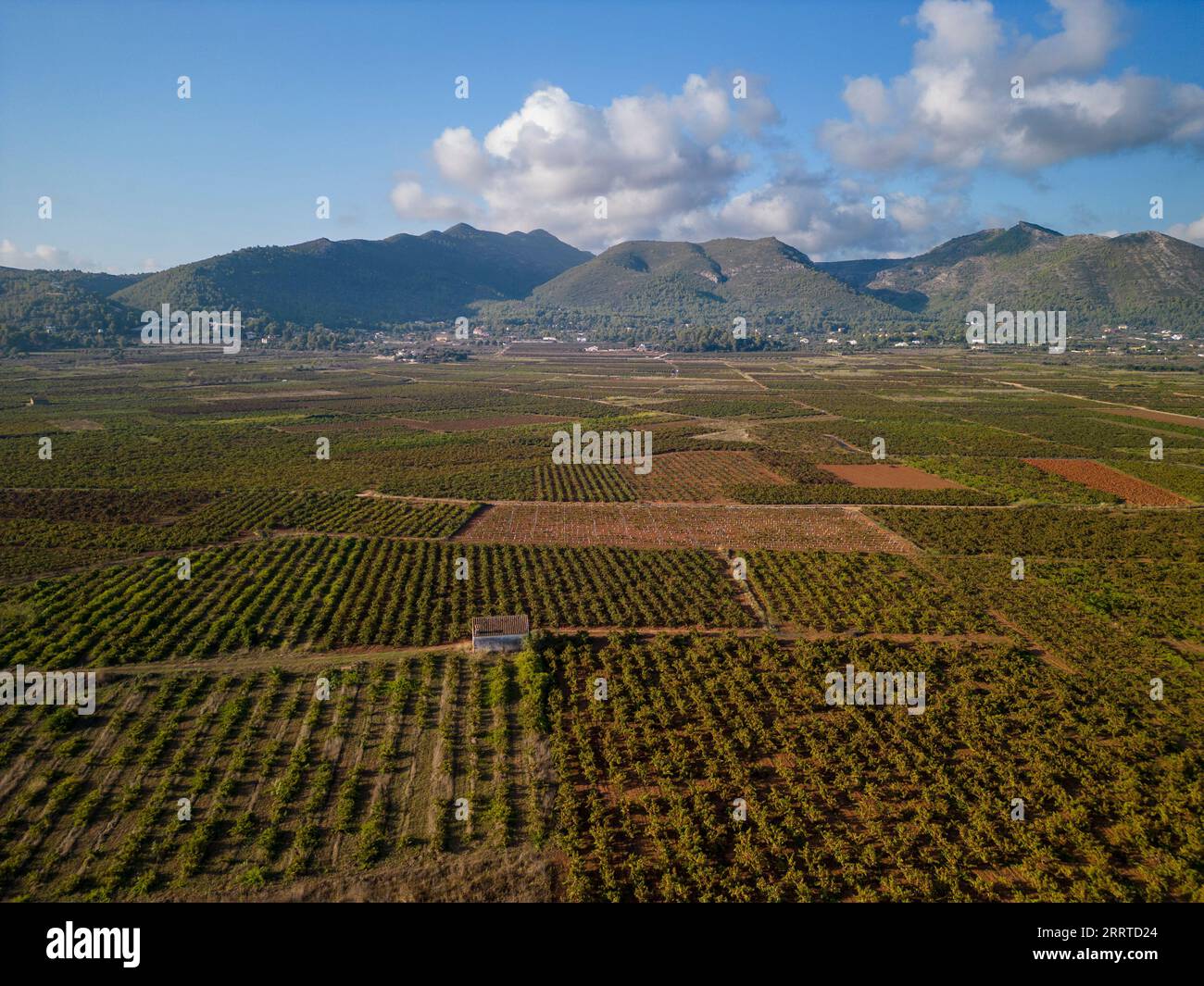 Xalo hi-res stock photography and images - Alamy