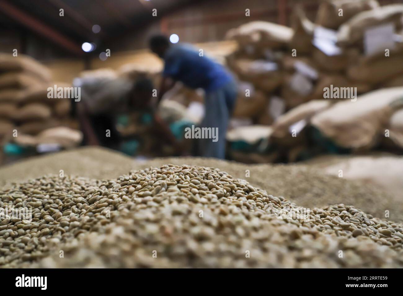 230720 -- ADDIS ABABA, July 20, 2023 -- Workers carry coffee beans in a ...