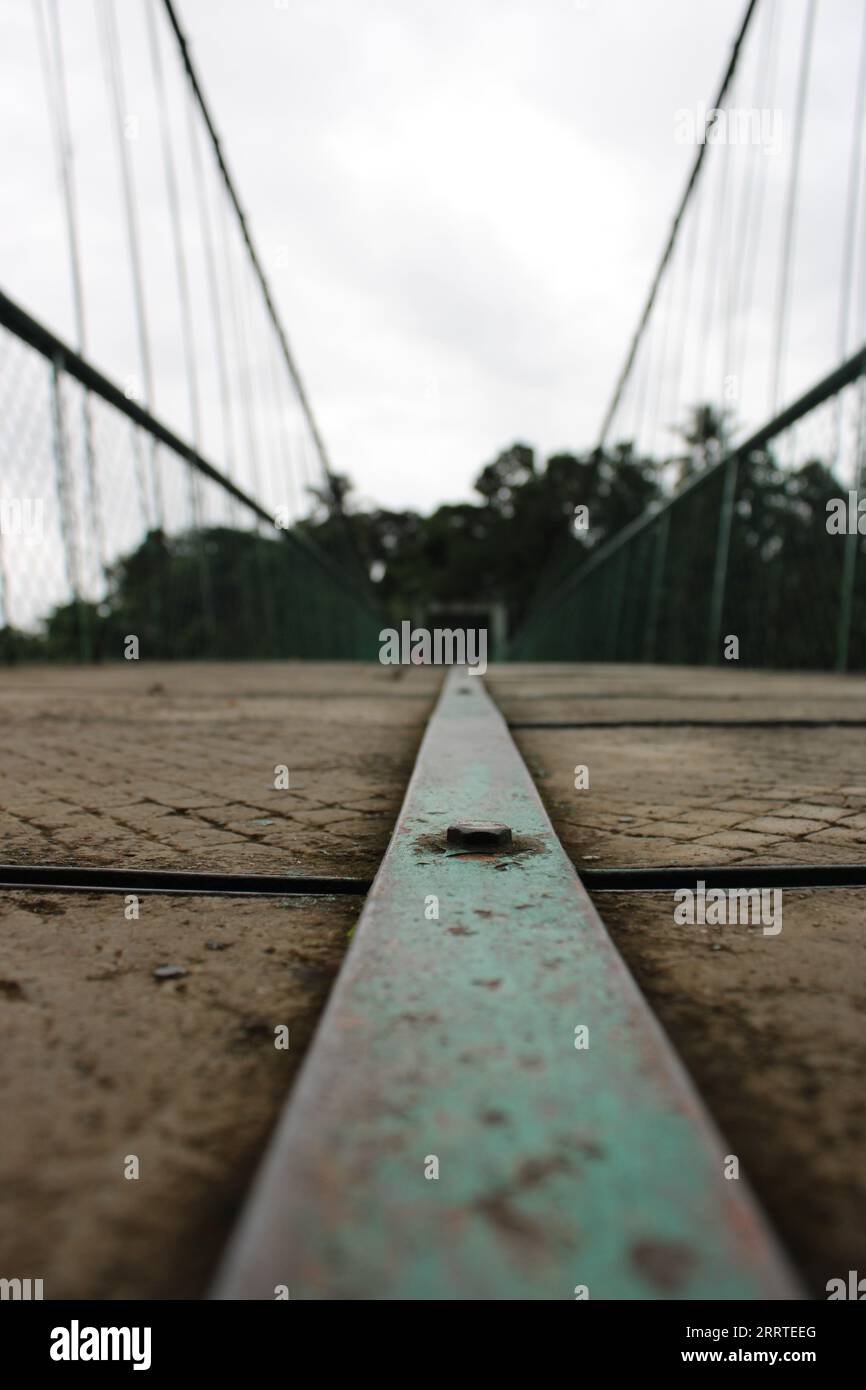 Raw flower photo for edit Stock Photo - Alamy