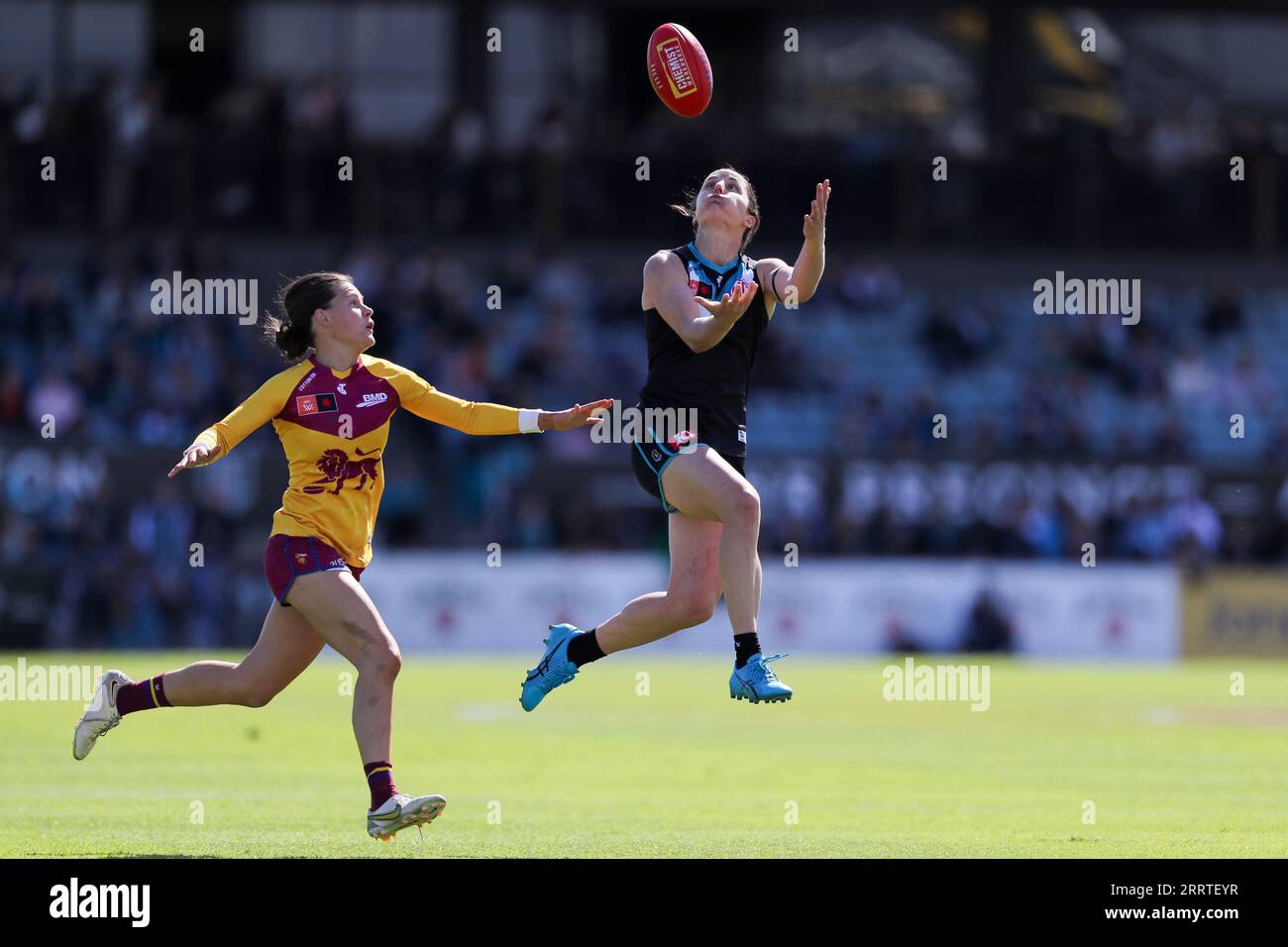 Adelaide, Australia. 09th Sep, 2023. Angela Foley of the Power marks ...