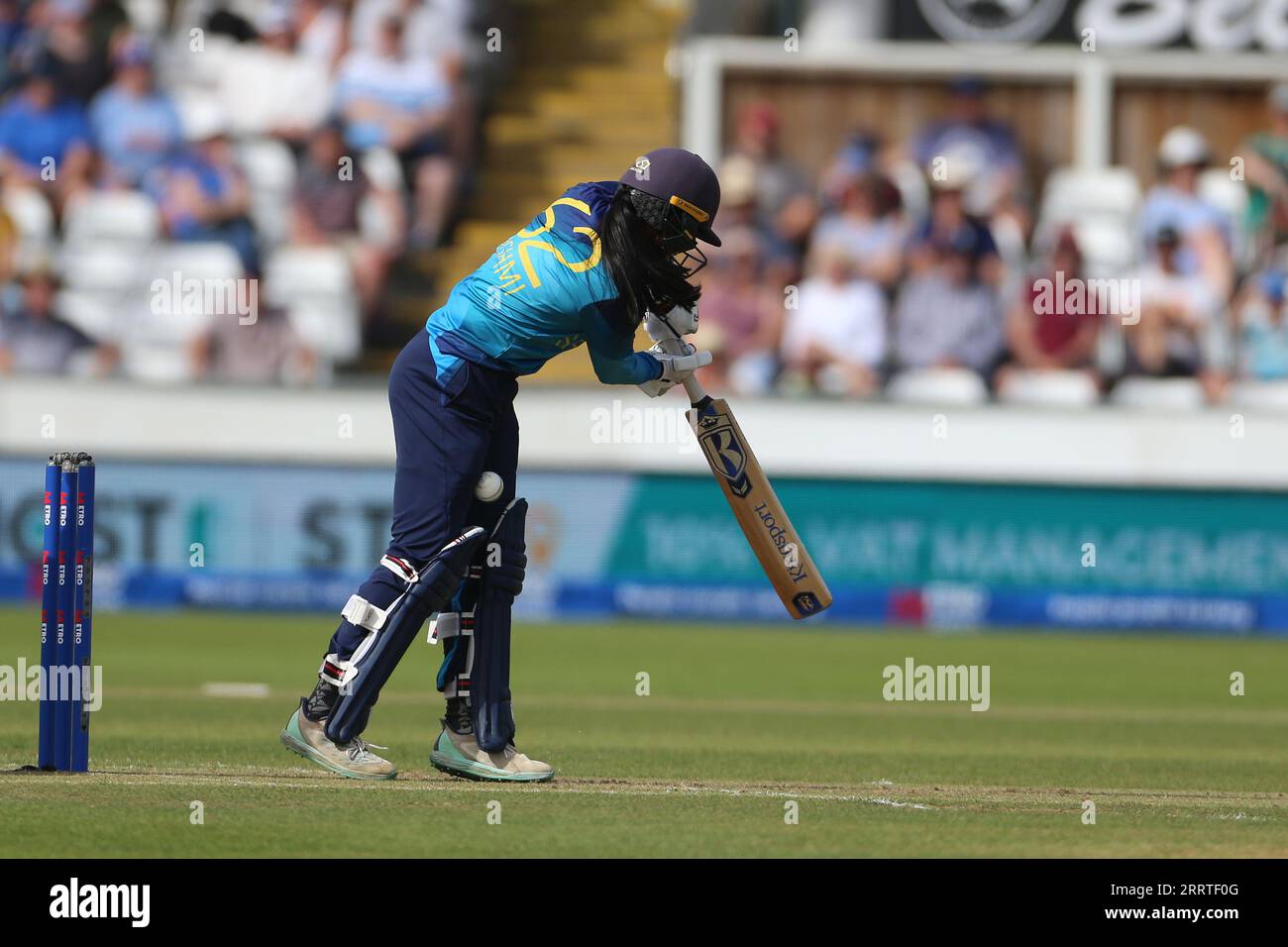 Vishmi gunaratne hi-res stock photography and images - Alamy