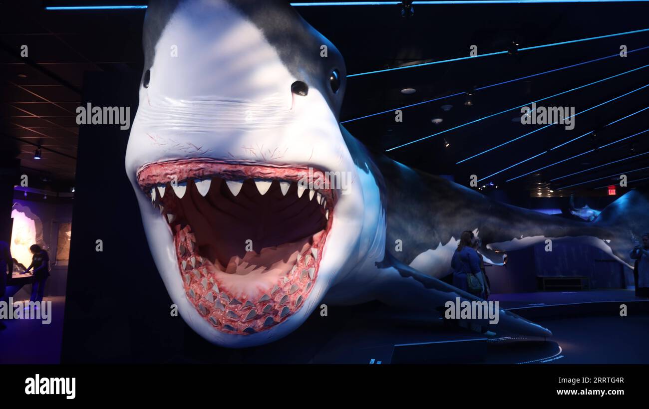 230724 -- HOUSTON, July 24, 2023 -- A life-sized, 50-foot model of ...