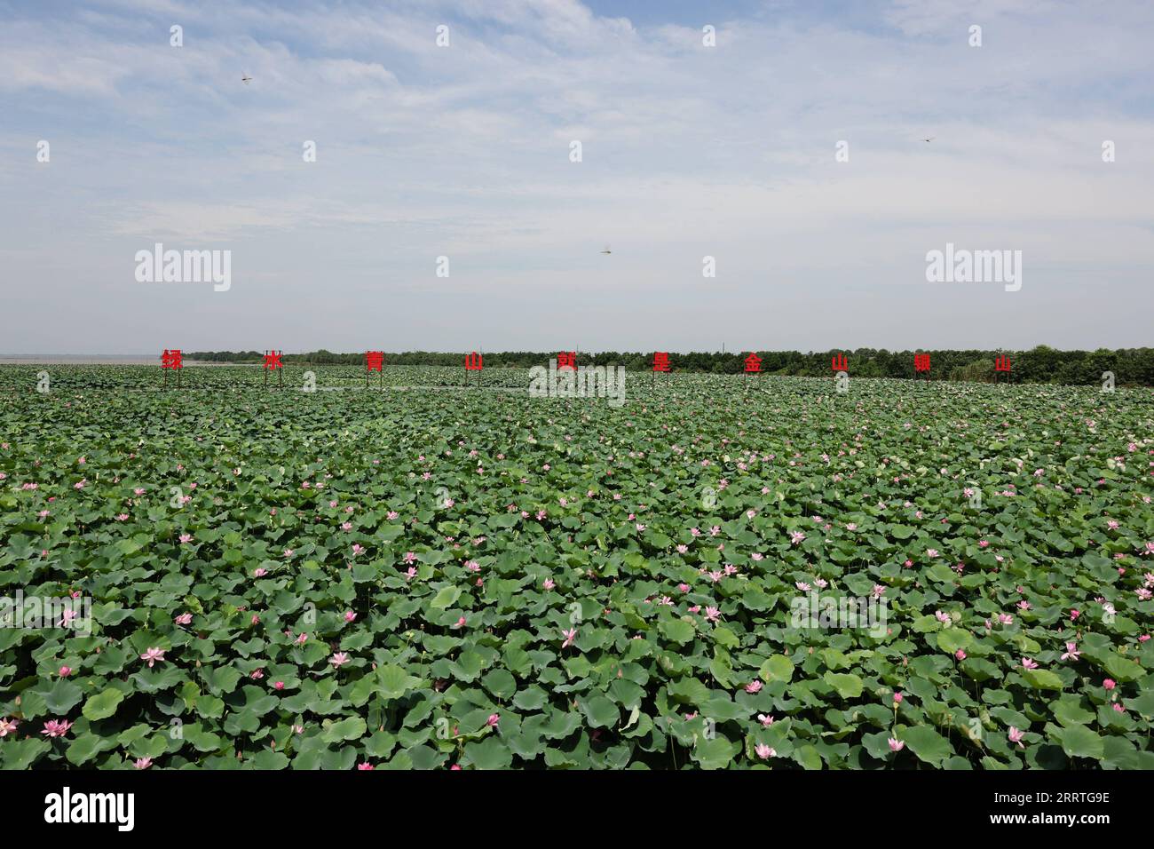 Datong academy hi-res stock photography and images - Alamy