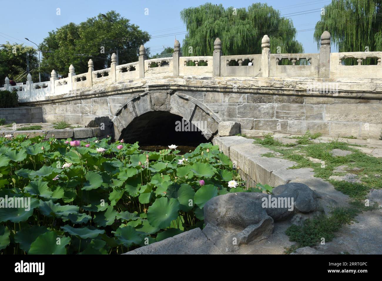 230725 -- BEIJING, July 25, 2023 -- This photo taken on July 18, 2023 ...