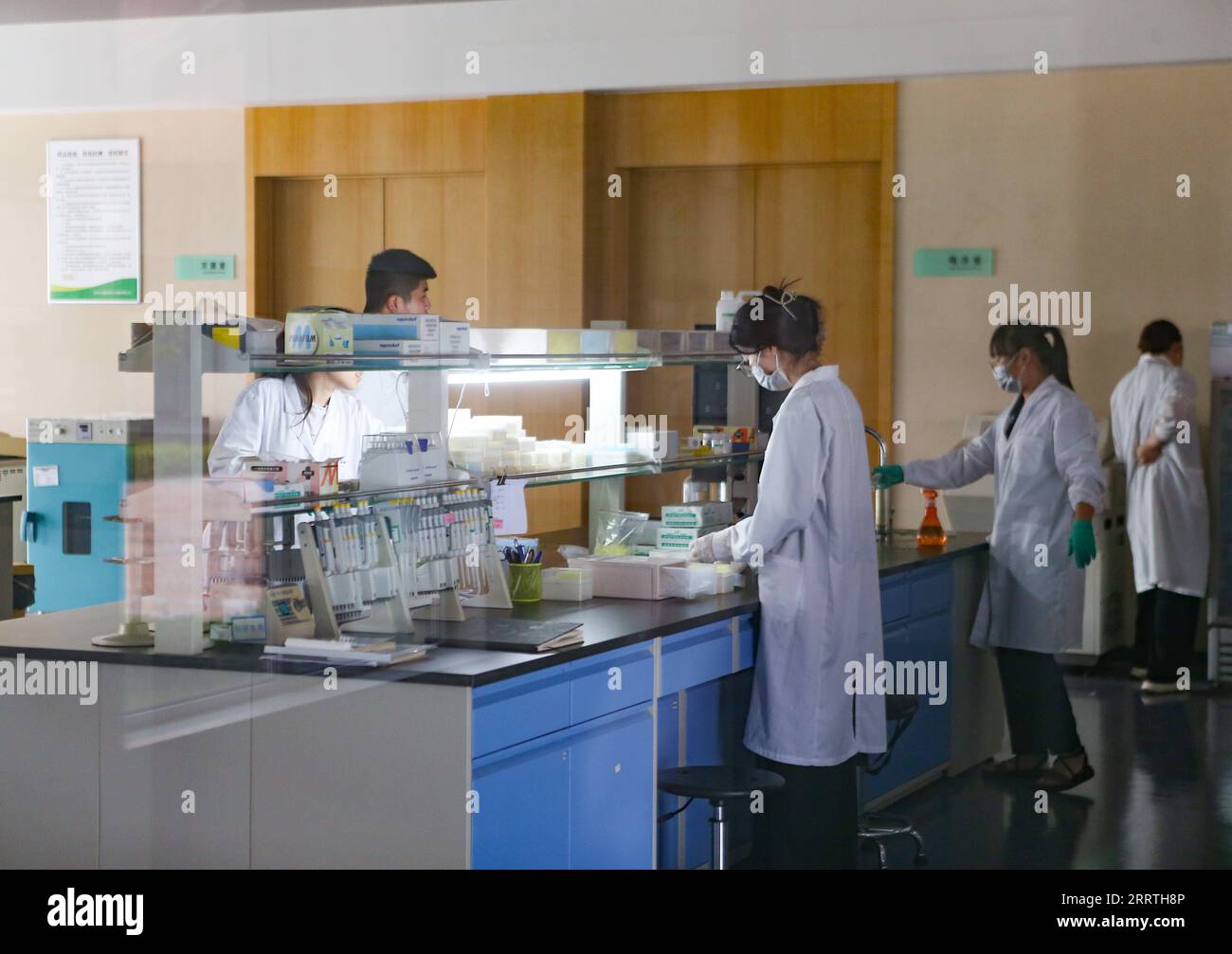 Breeding laboratory hi-res stock photography and images - Alamy