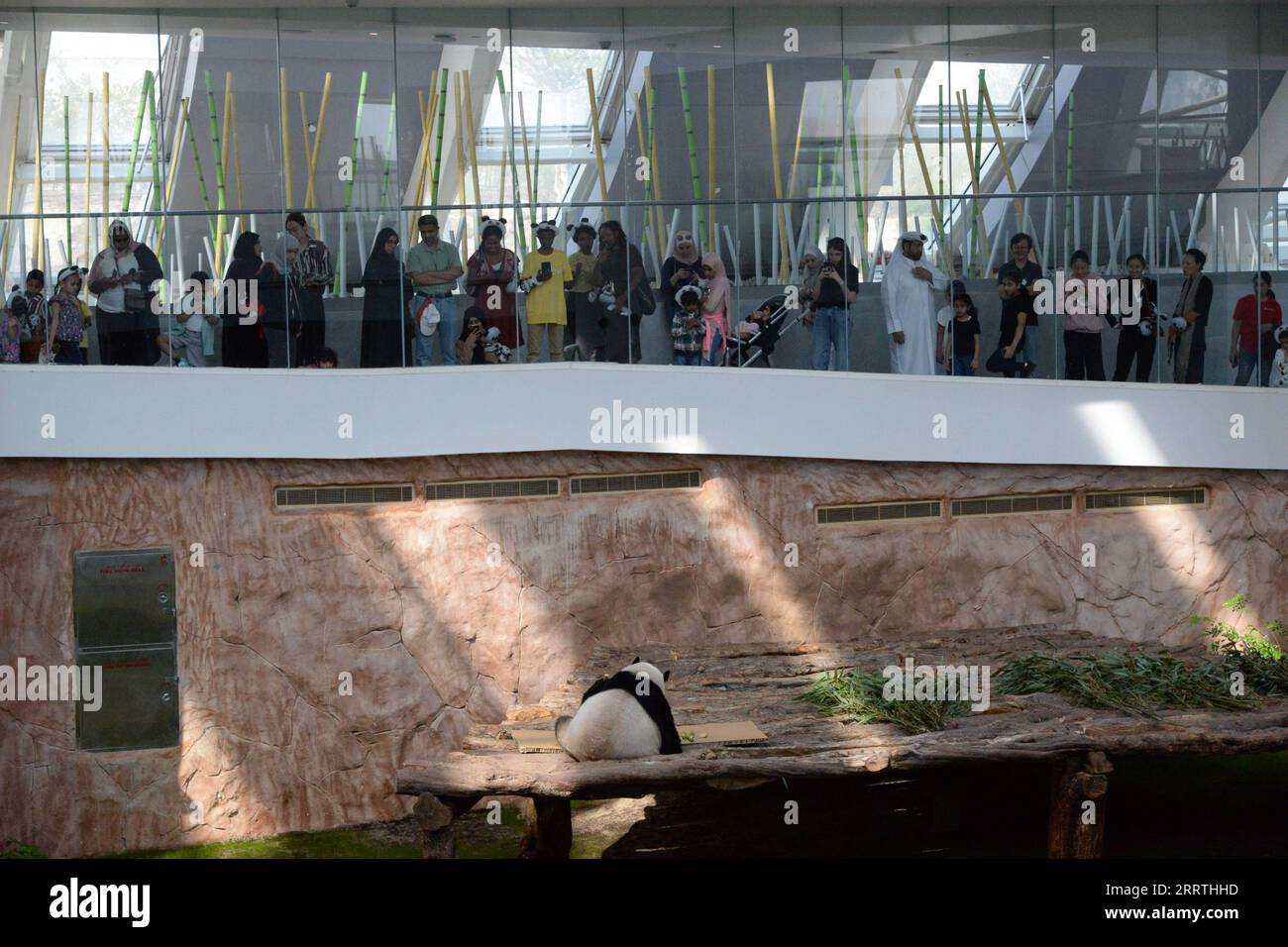 230727 -- DOHA, July 27, 2023 -- People visit giant panda Si Hai at ...