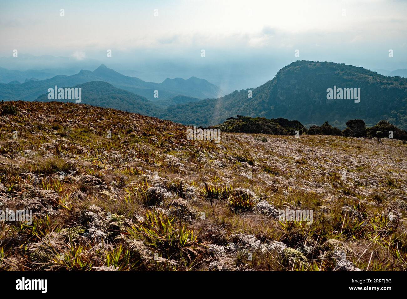 A panoramic view of mountains in Lutwangule Peak in Uluguru Mountains ...