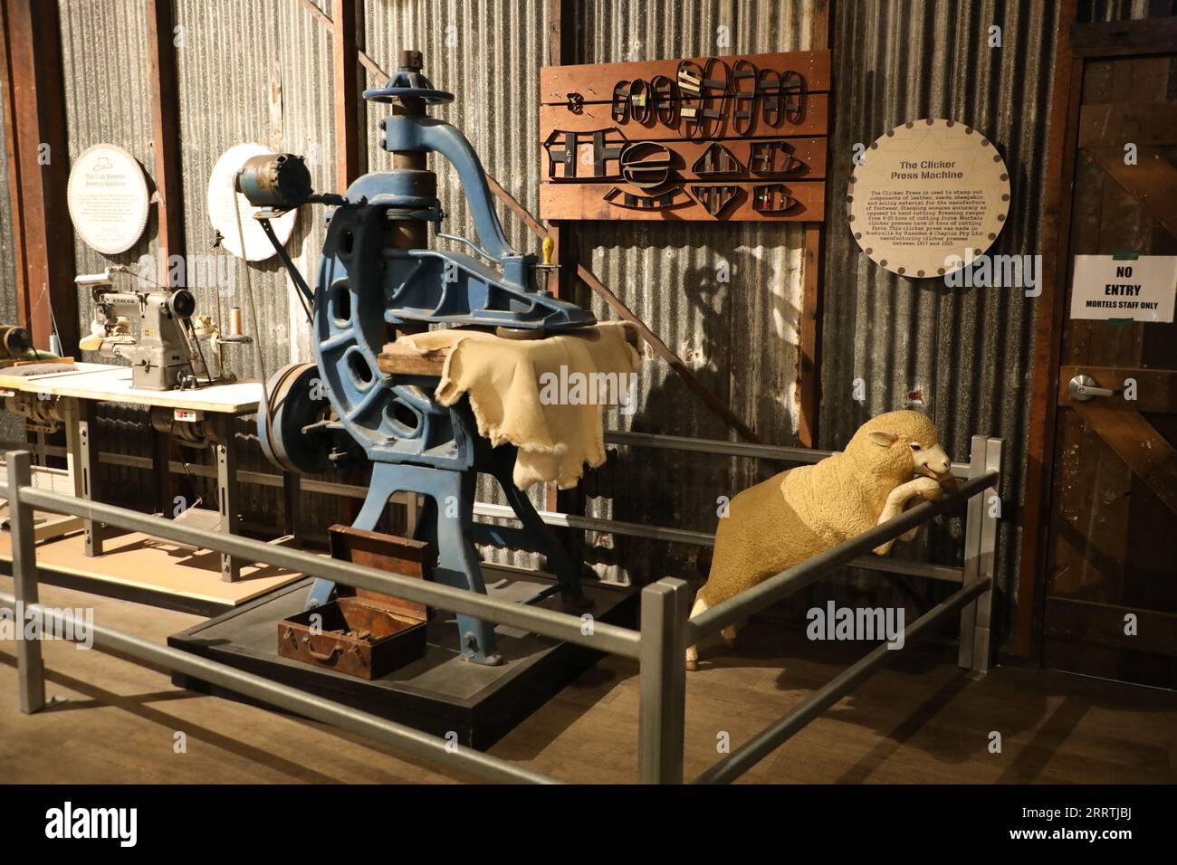 Sheeps back museum hi-res stock photography and images - Alamy