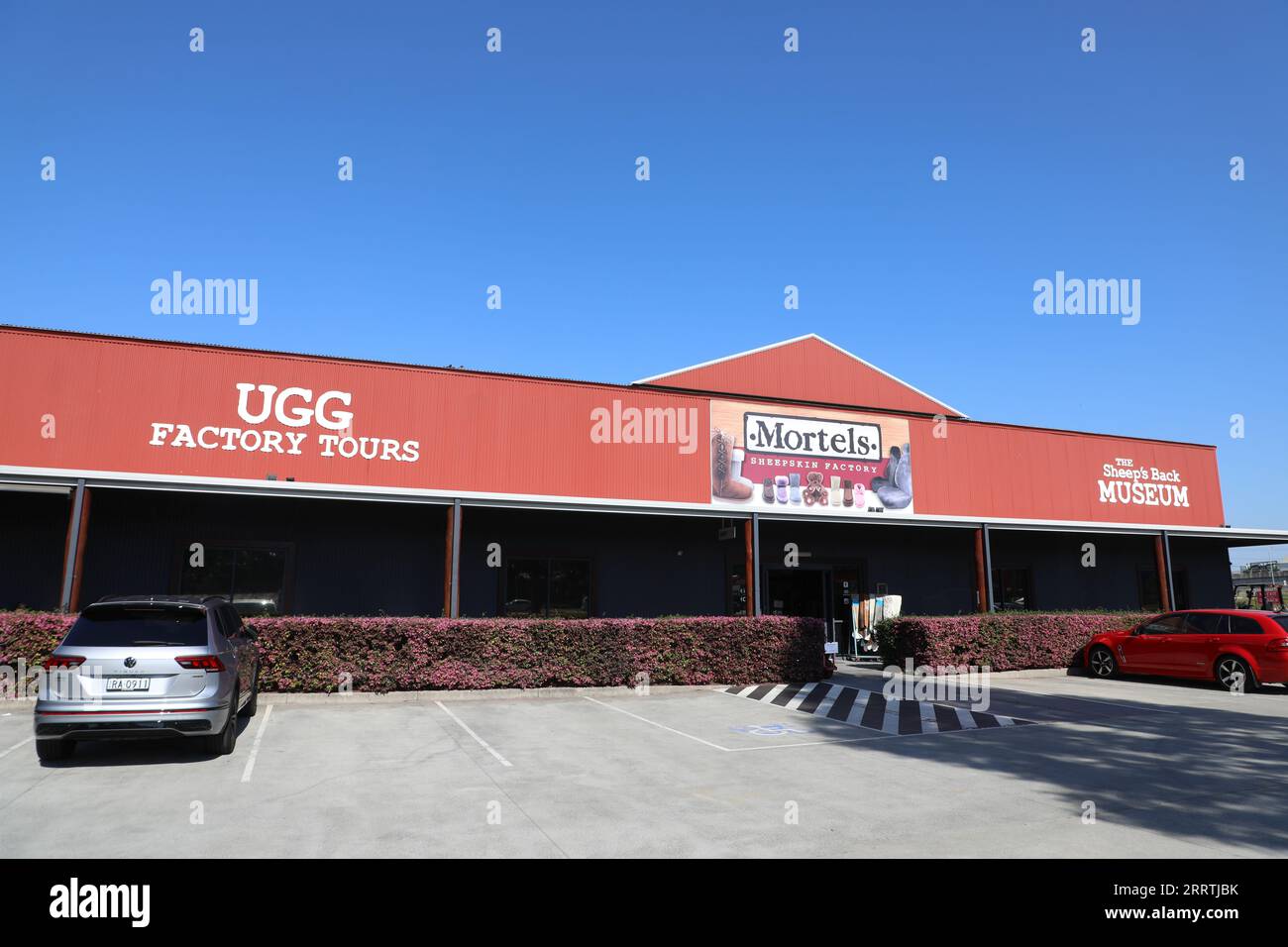 Sheeps back museum hi-res stock photography and images - Alamy