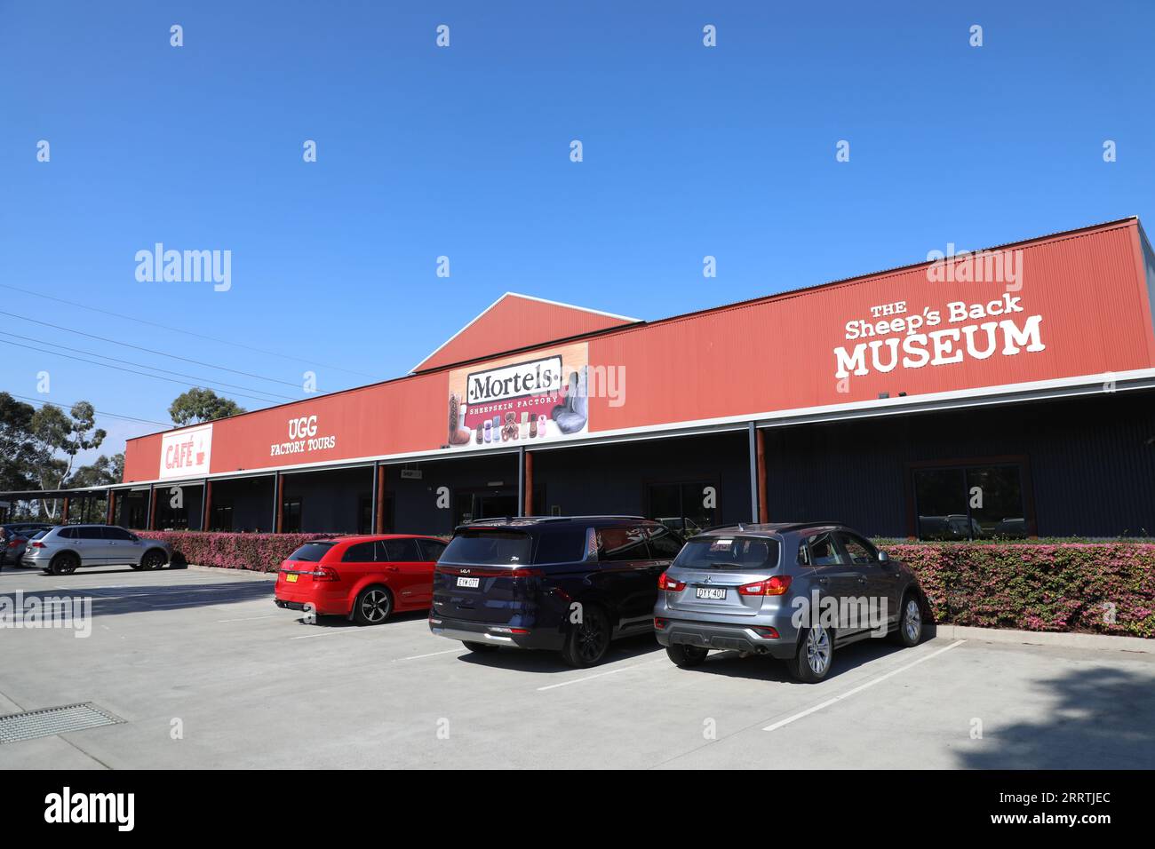 Sheeps back museum hi-res stock photography and images - Alamy