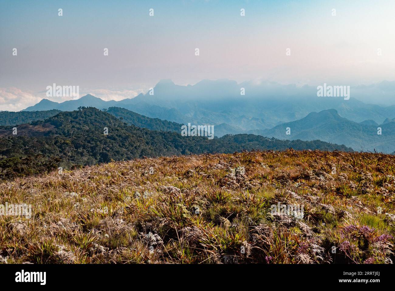 A panoramic view of mountains in Lutwangule Peak in Uluguru Mountains ...
