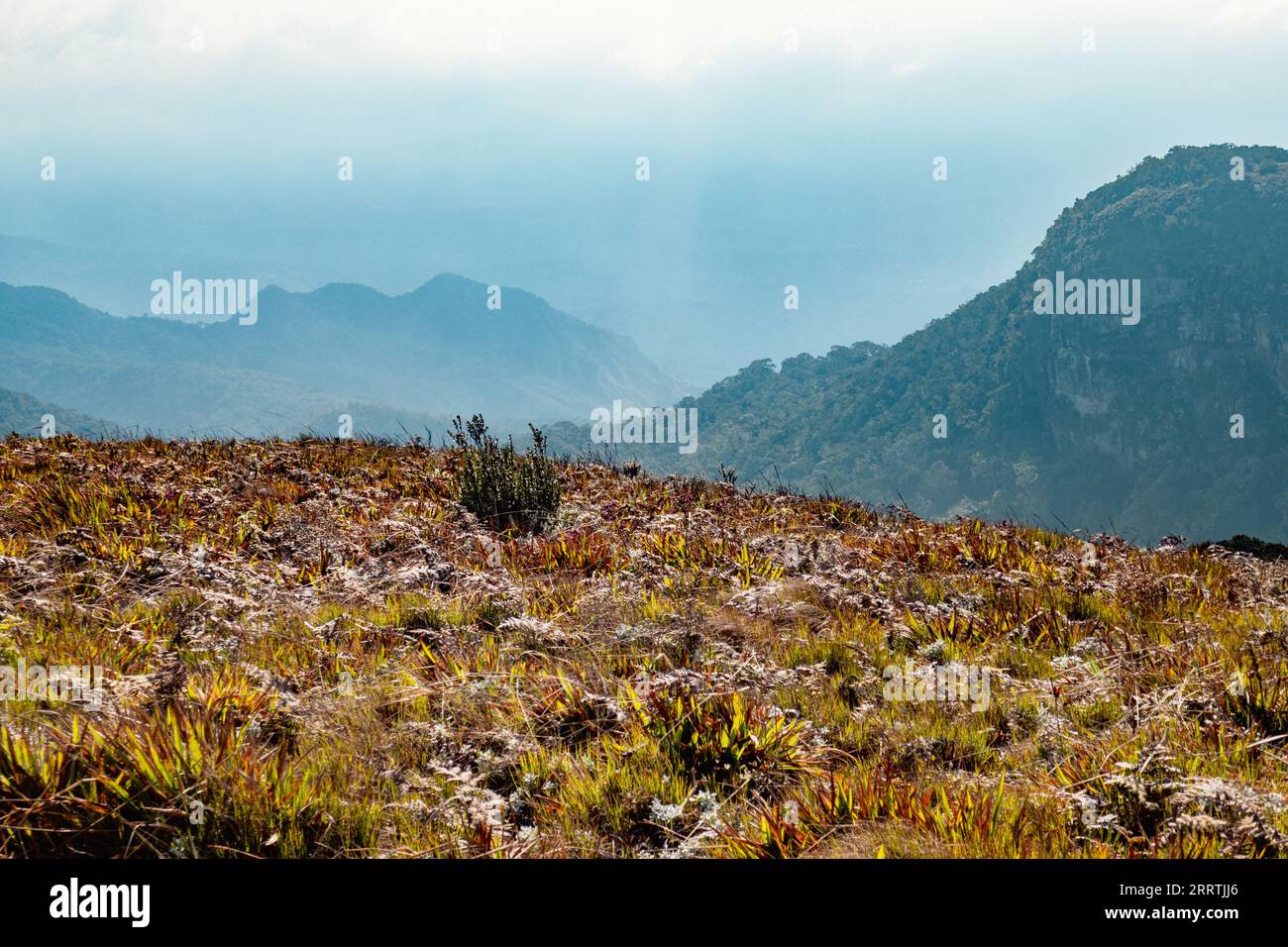 A panoramic view of mountains in Lutwangule Peak in Uluguru Mountains ...