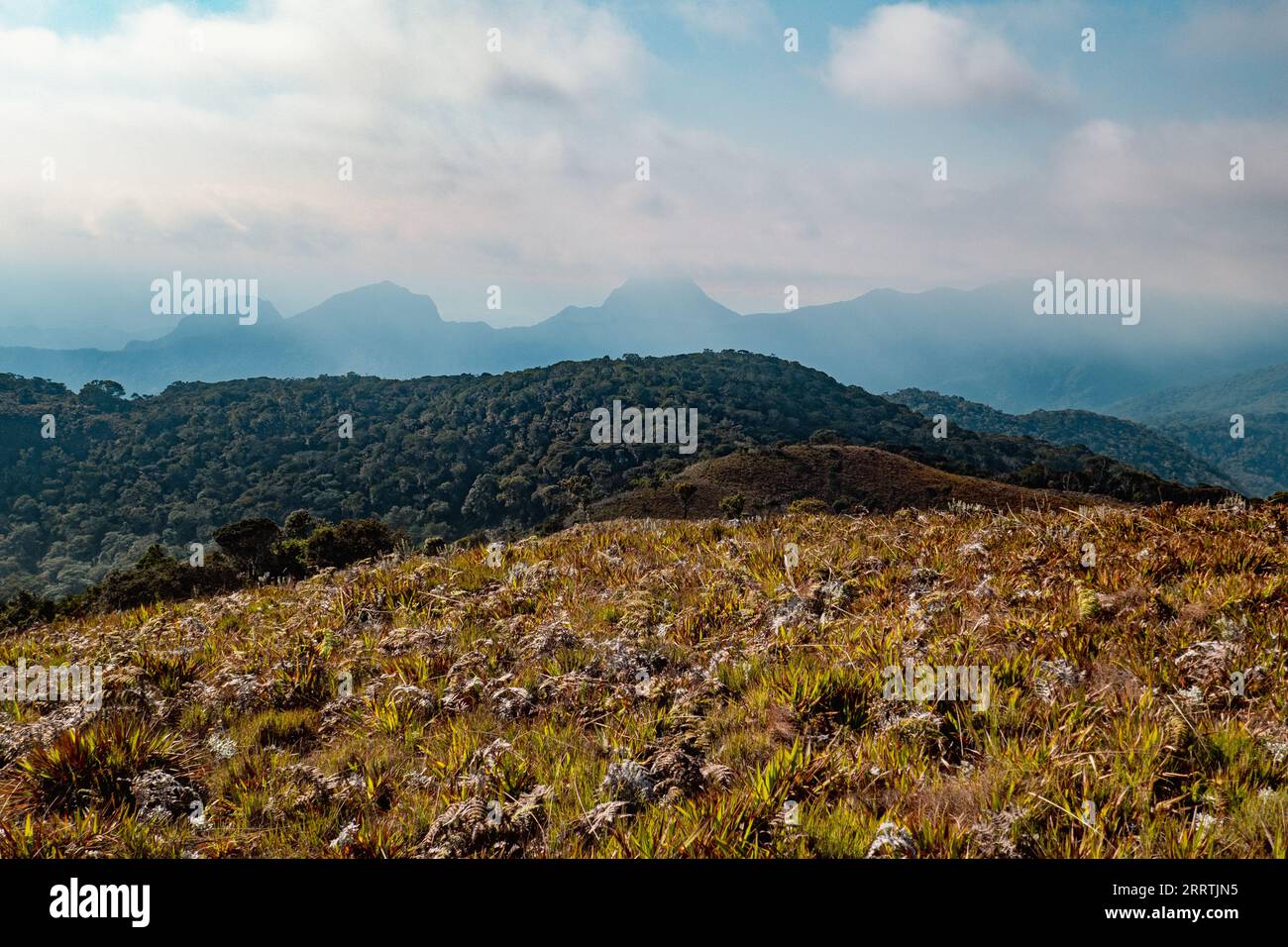 Scenic view of Lutwangule Plateau at sunrise on Uluguru Mountains in ...