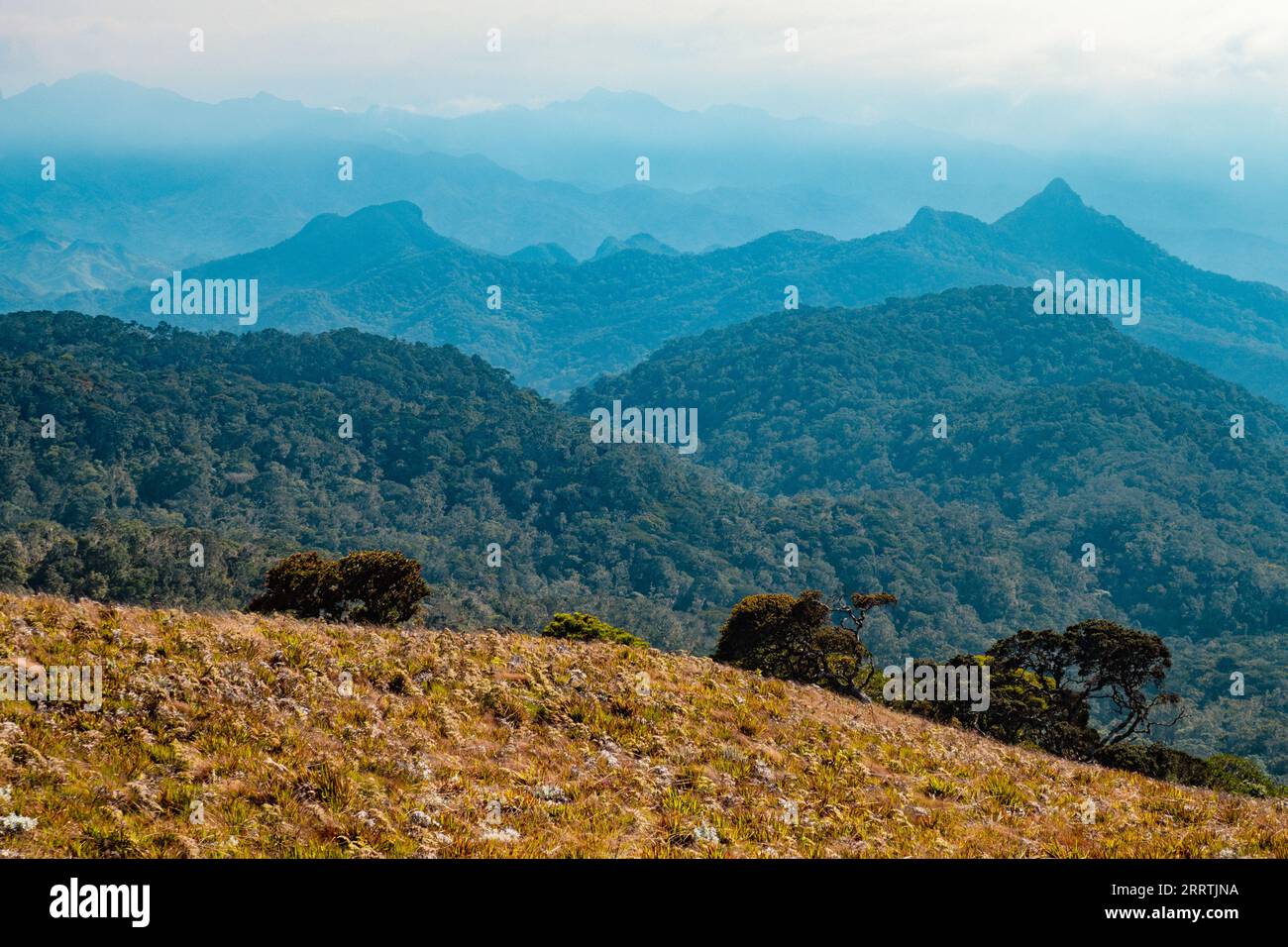 A panoramic view of mountains in Lutwangule Peak in Uluguru Mountains ...