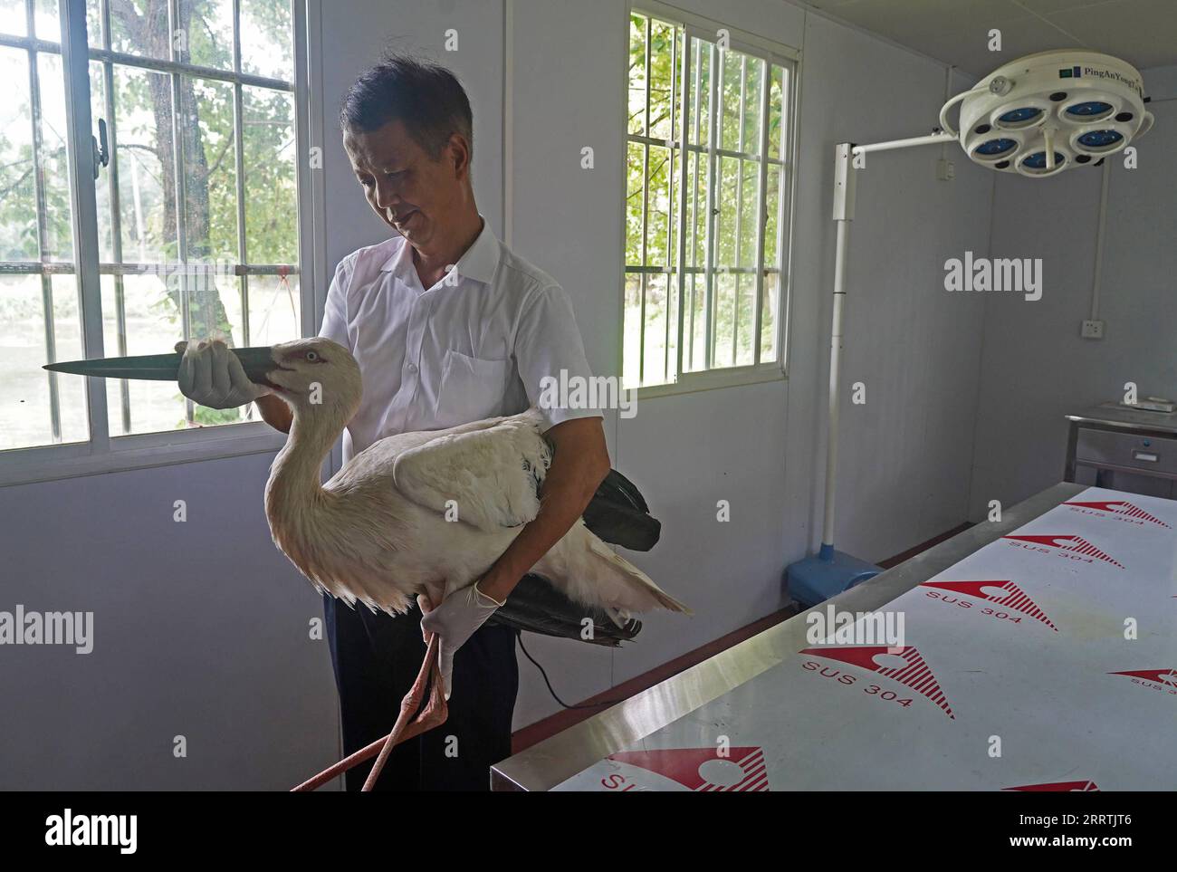 230728 -- NANCHANG, July 28, 2023 -- A staff member carries an oriental ...