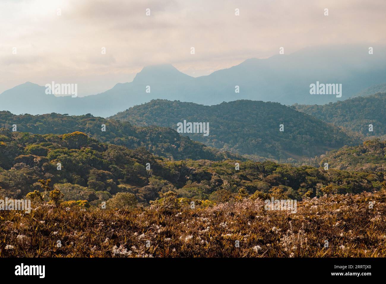 A panoramic view of mountains in Lutwangule Peak in Uluguru Mountains ...