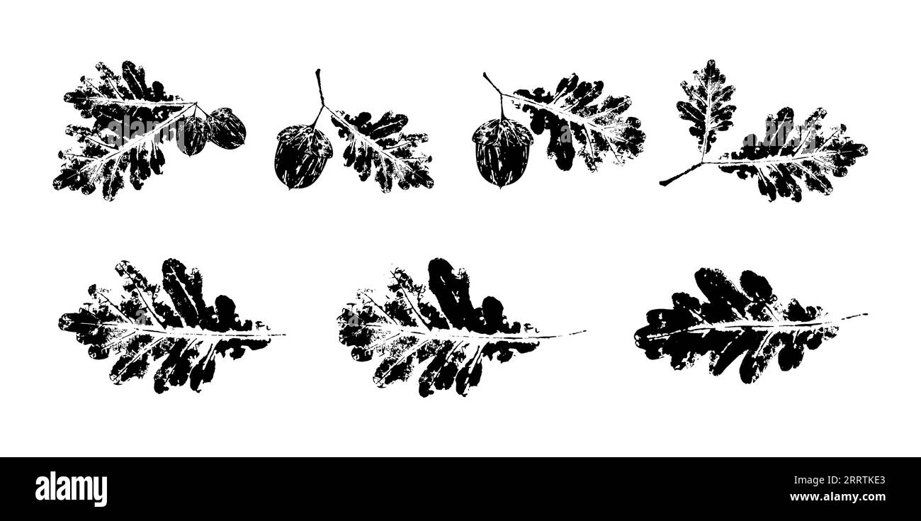 Oak Leaf stamp print ser. Grunge autumn leaves imprints Stock Vector ...