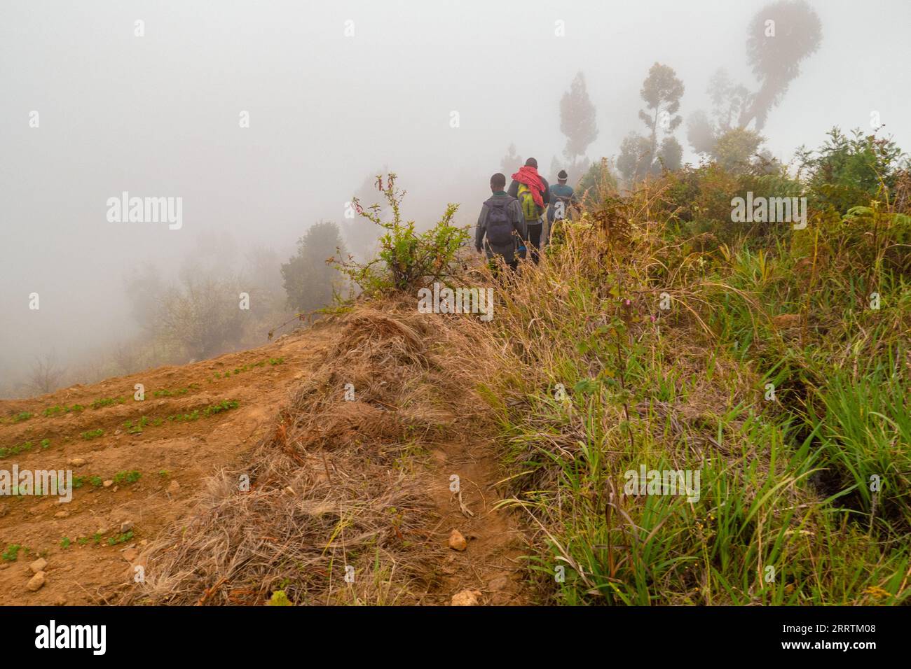 Rear view of hikers at Lutwangule Plateau in Uluguru Mountains in ...