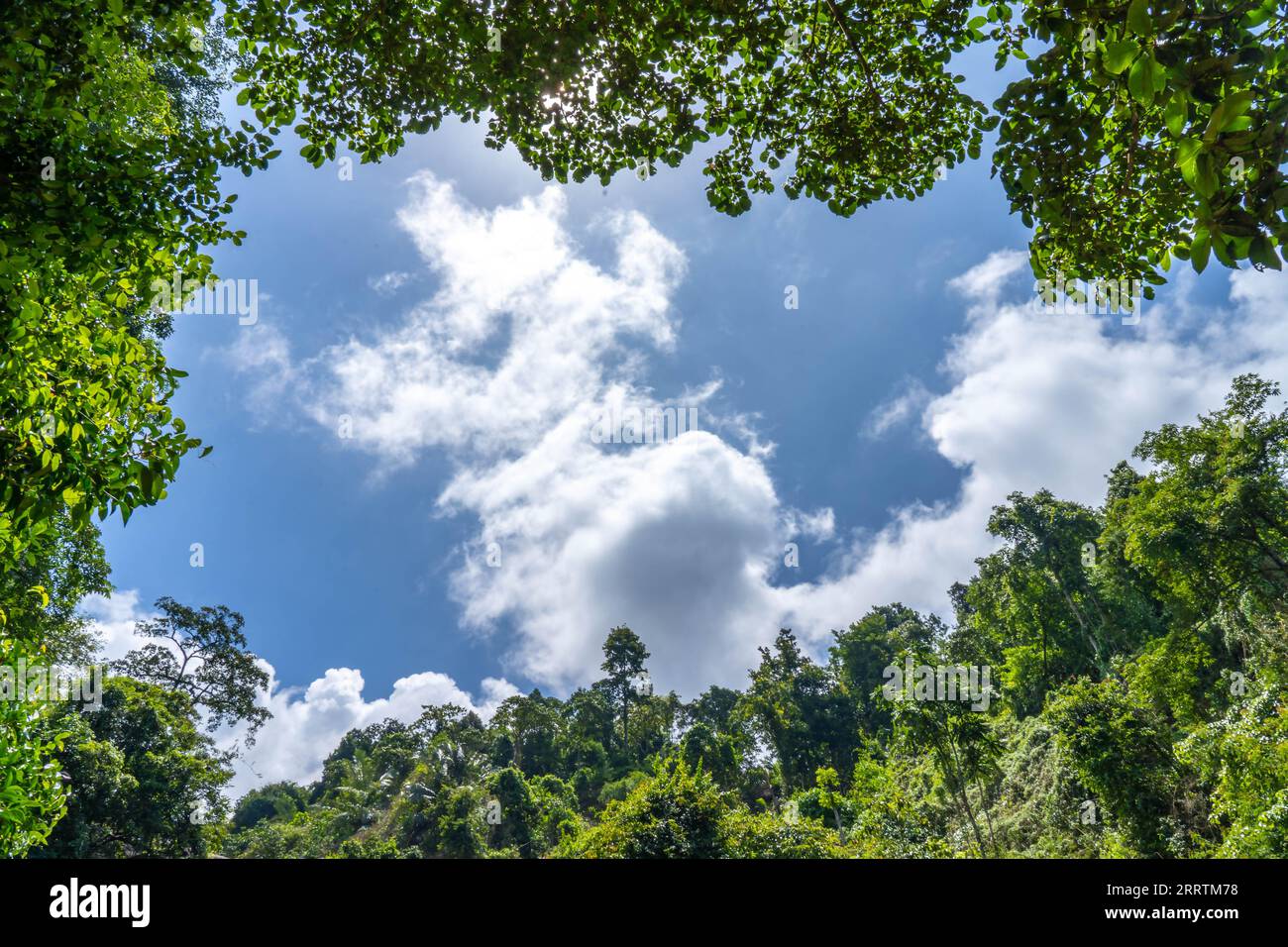 Rural light india hi-res stock photography and images - Alamy