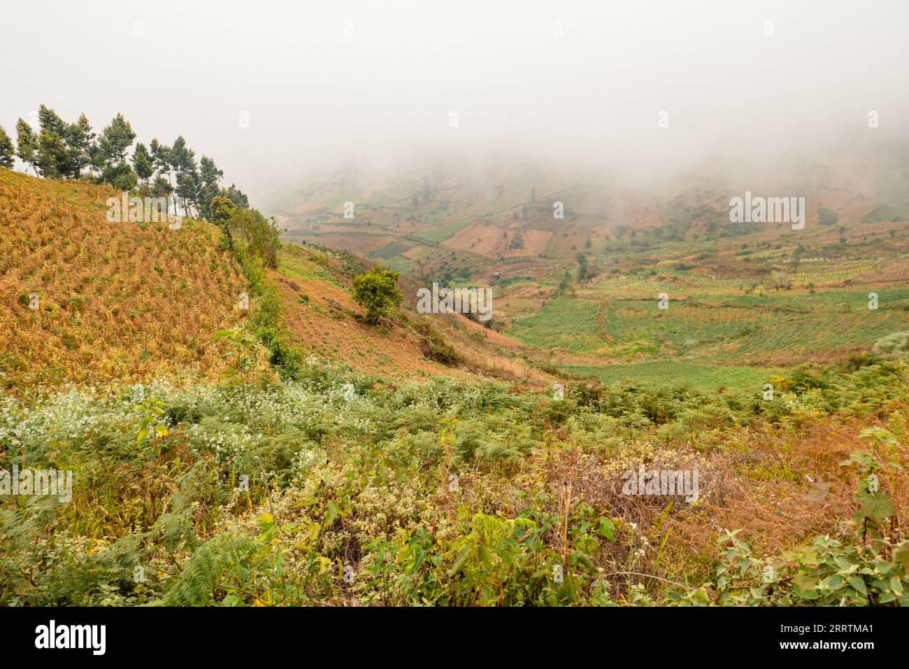 Scenic view of African Lndscape with houses and agricultural farms on ...