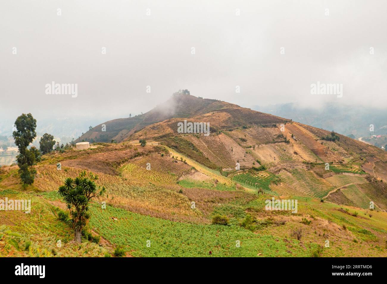 Scenic view of African Lndscape with houses and agricultural farms on ...