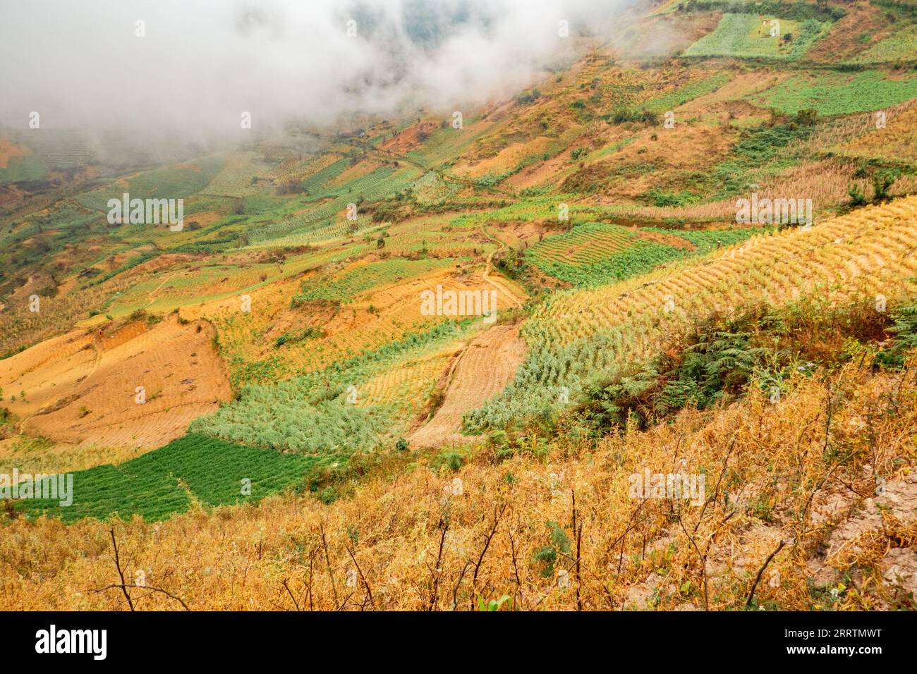 Scenic view of African Lndscape with houses and agricultural farms on ...