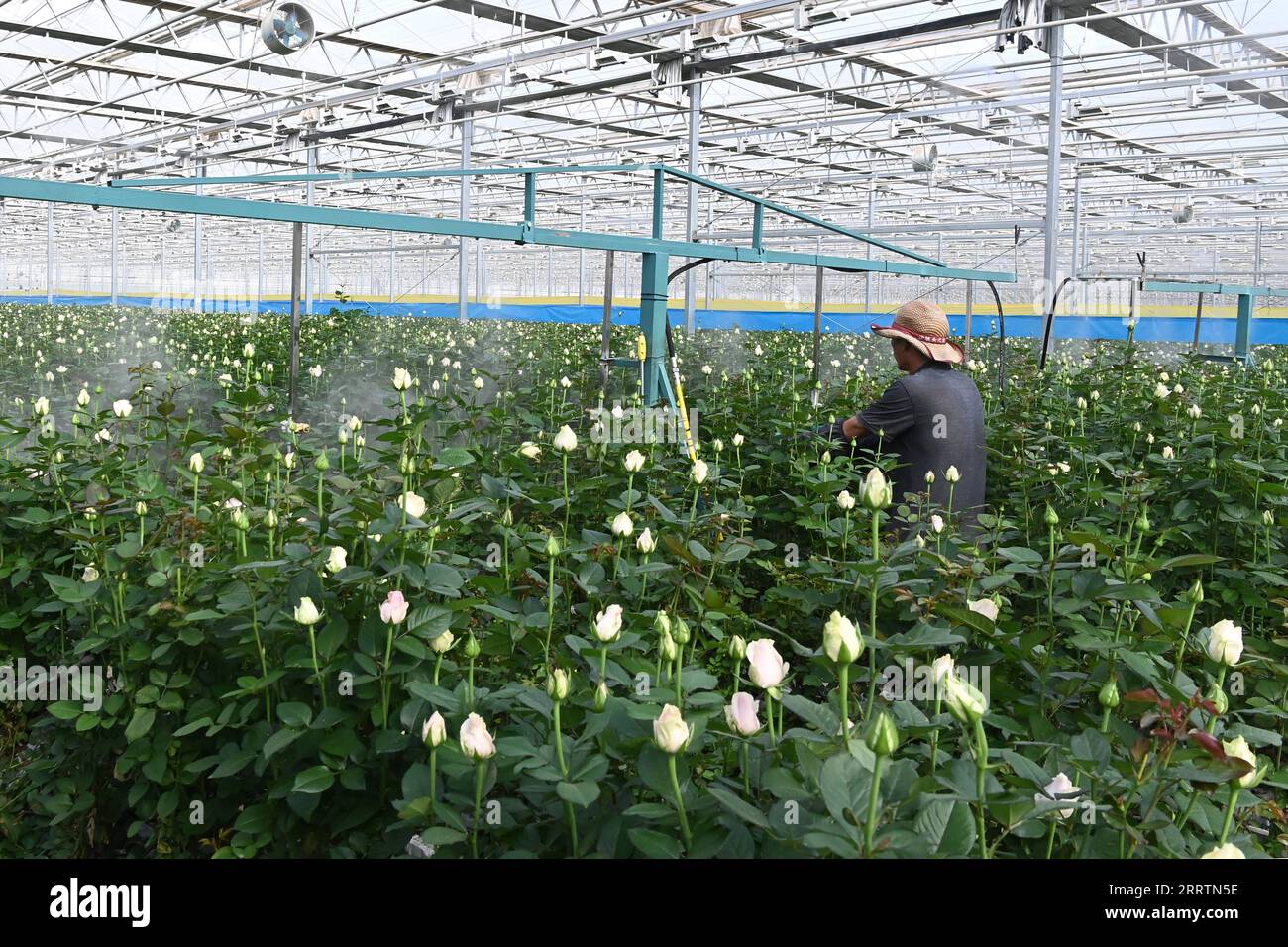 230802 -- LANZHOU, Aug. 2, 2023 -- A staff member works at a modern ...