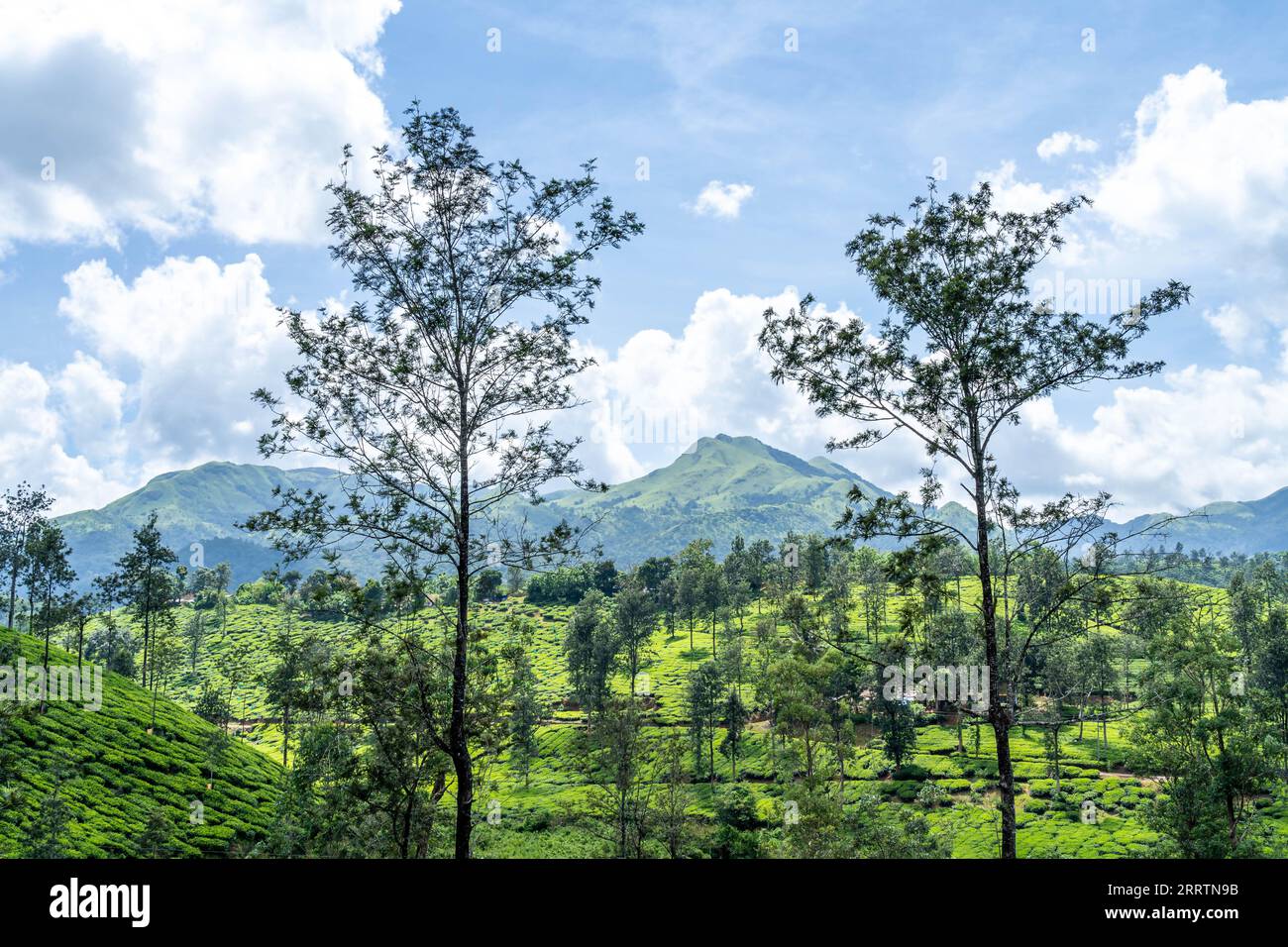 Wayanad is a rural district in Kerala state, southwest India Stock ...