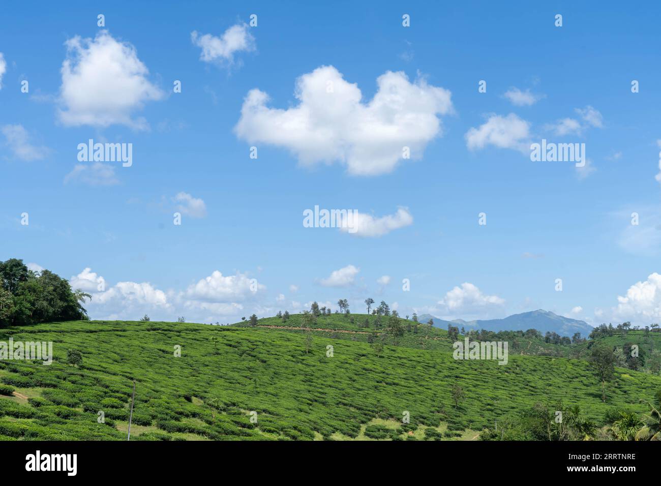 Wayanad scenic view hi-res stock photography and images - Alamy