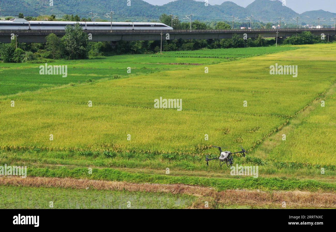 Rice field china machines hi-res stock photography and images - Alamy