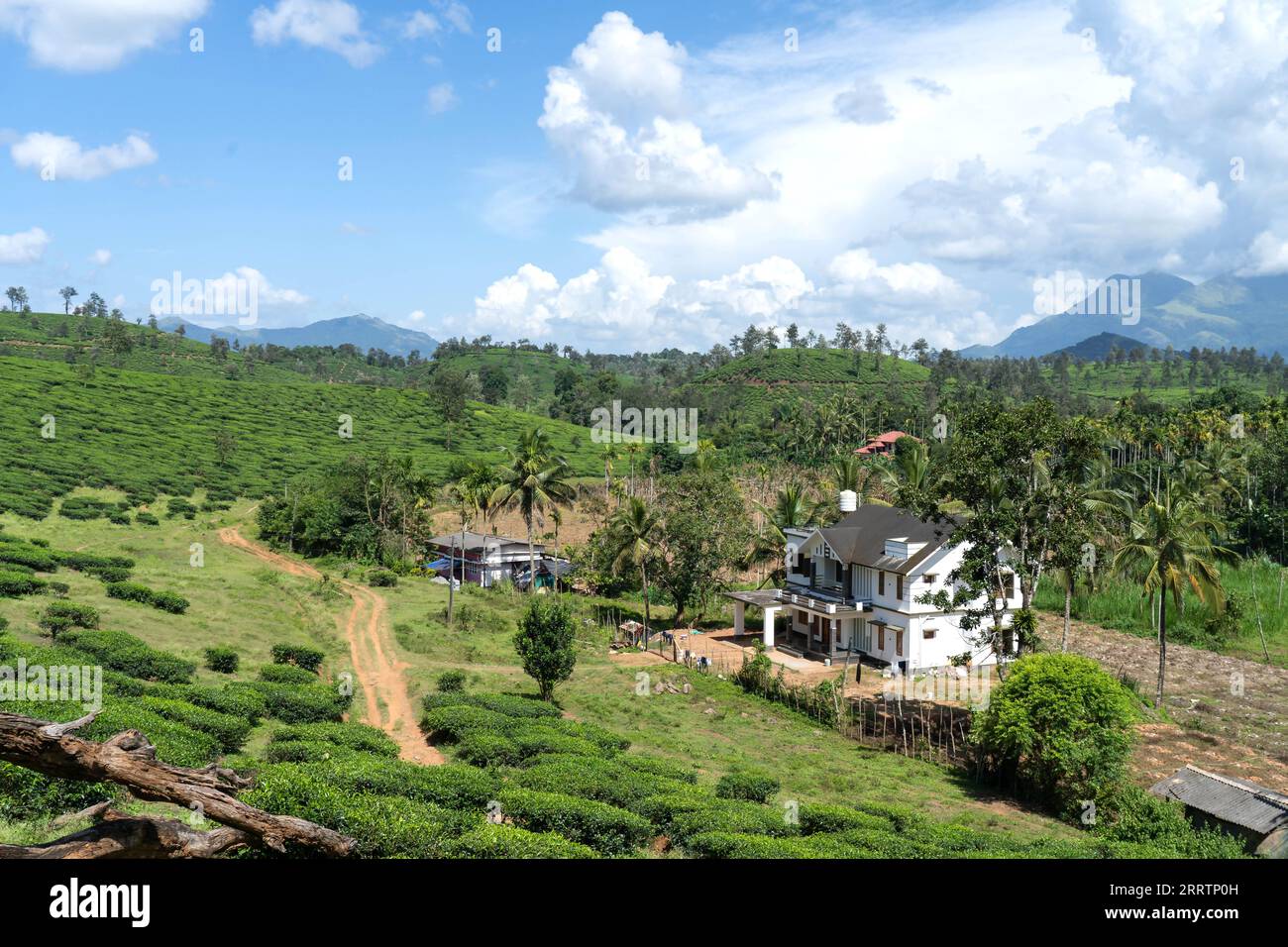 Wayanad is a rural district in Kerala state, southwest India Stock ...