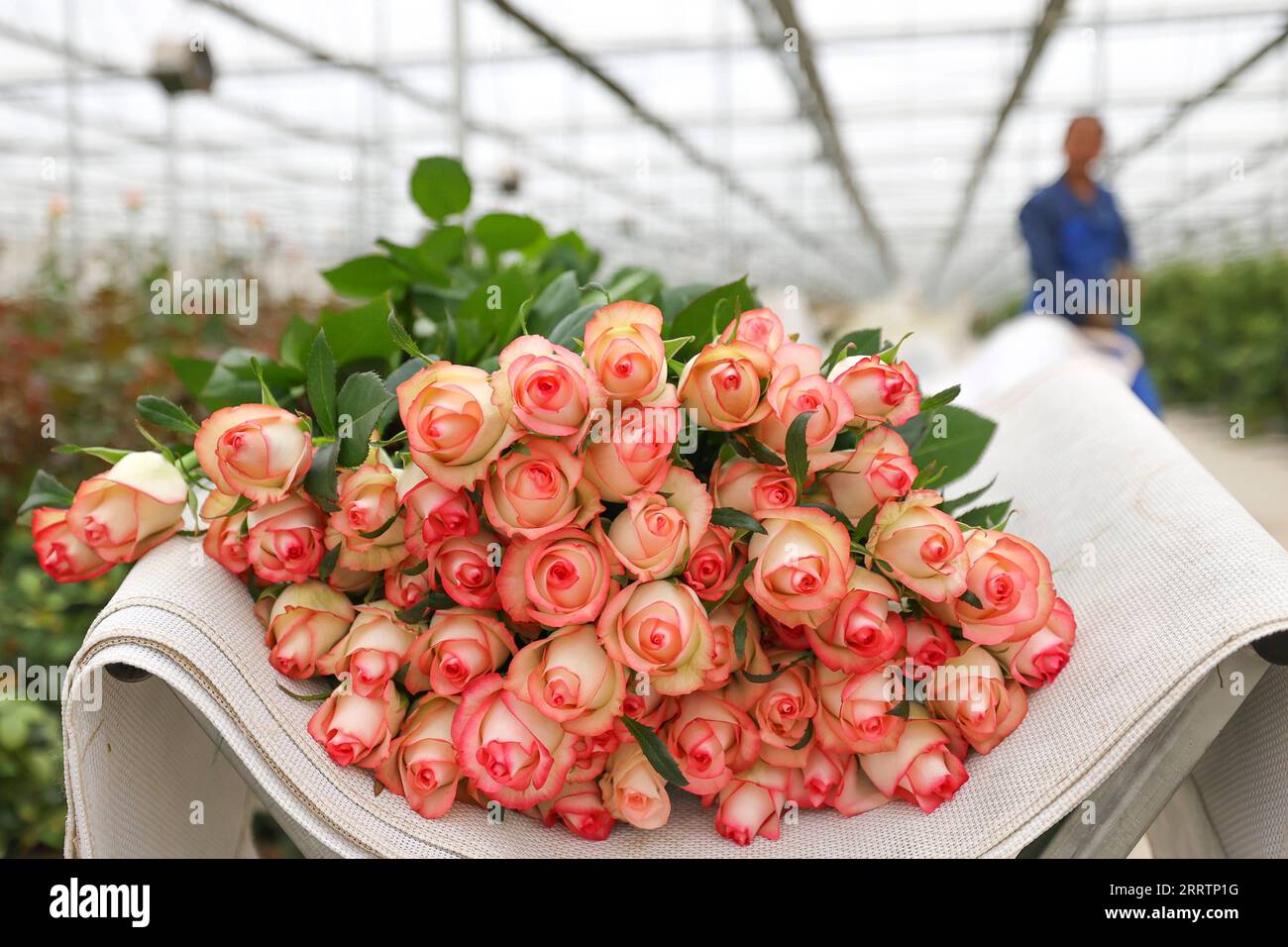 Transportation diversification hi-res stock photography and images - Alamy