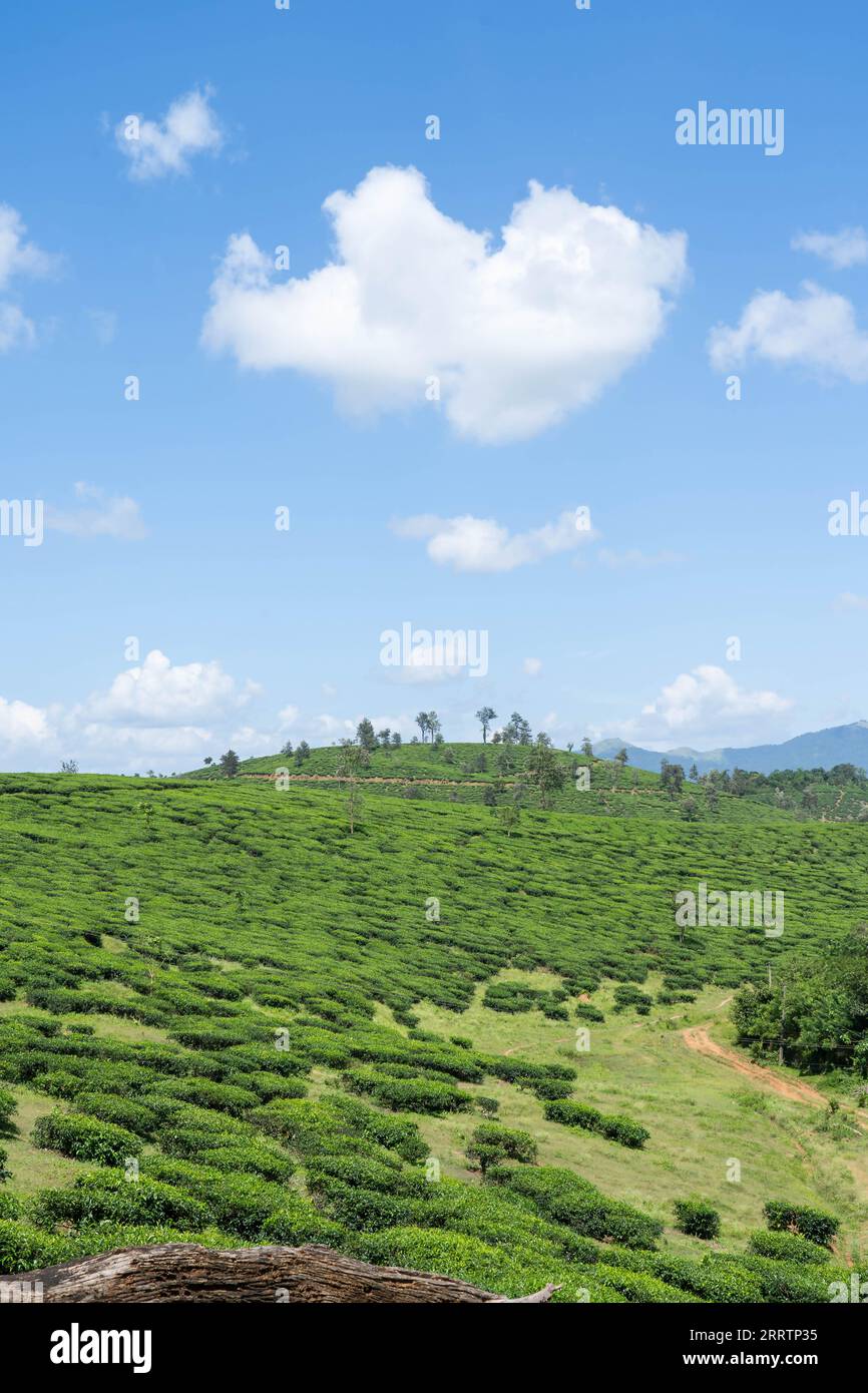 Wayanad scenic view hi-res stock photography and images - Alamy